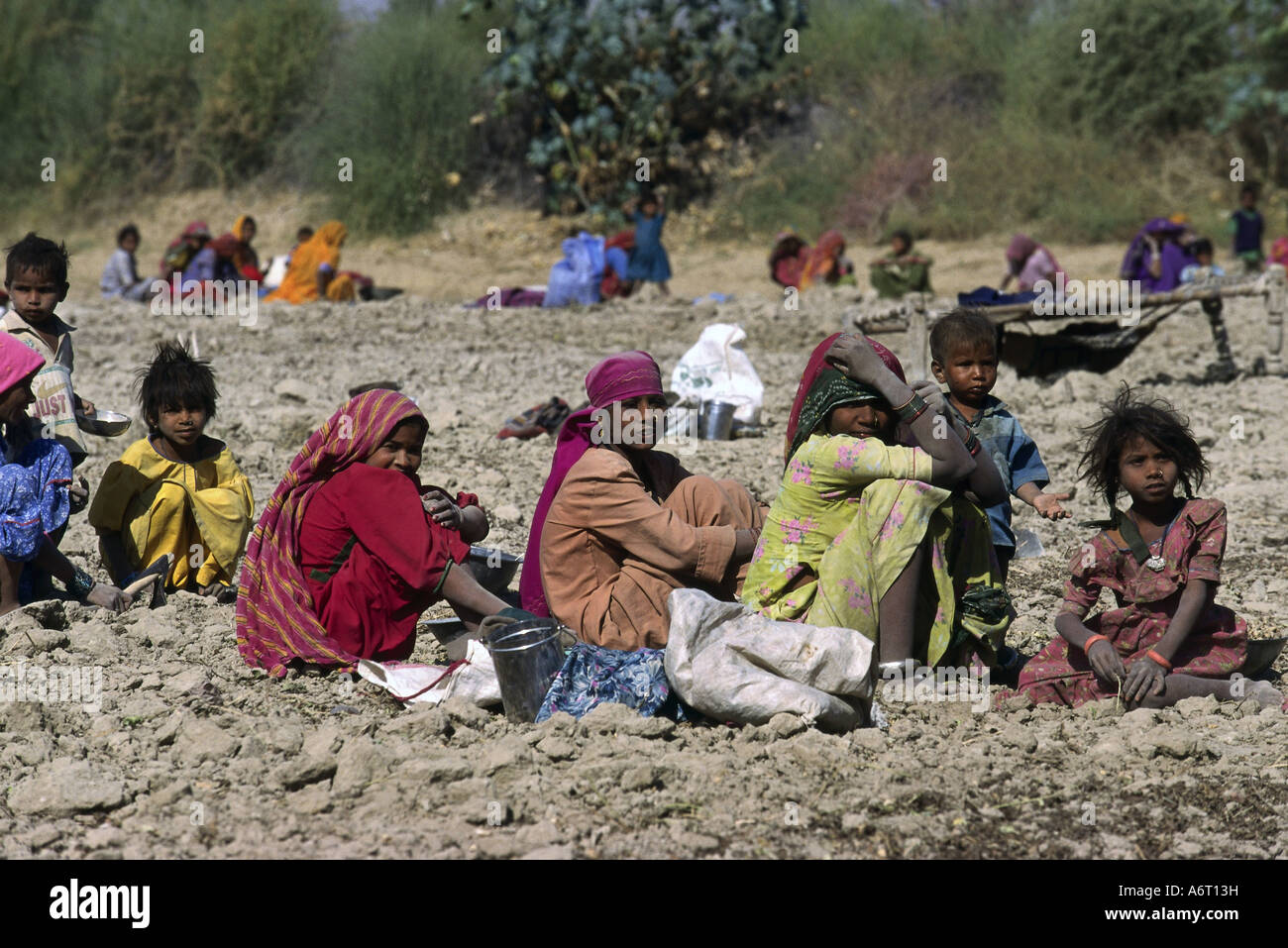 people, children, India, children sitting on peanut field, rest during ...