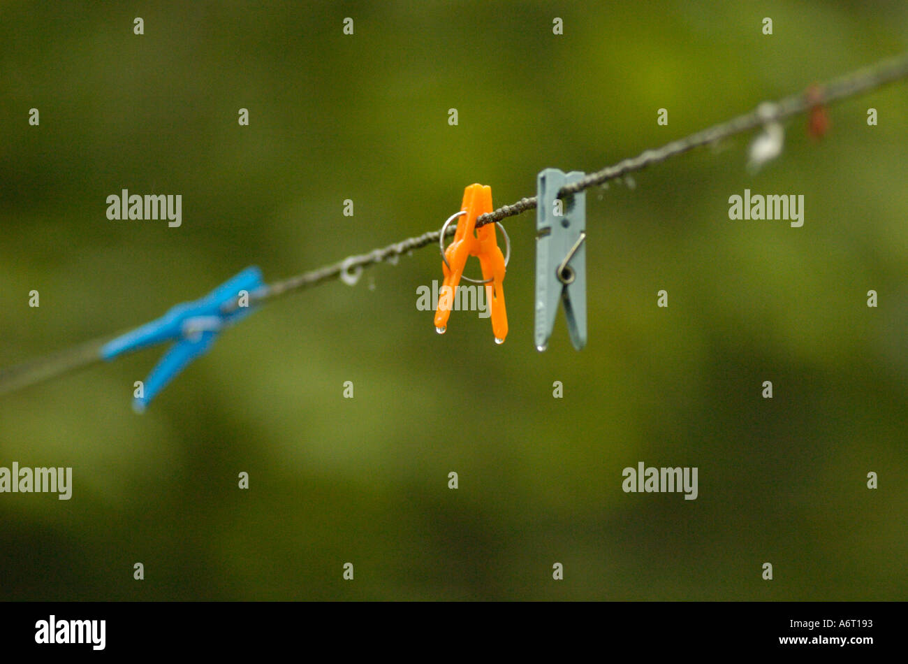 Laundry clips during rainy day Stock Photo - Alamy