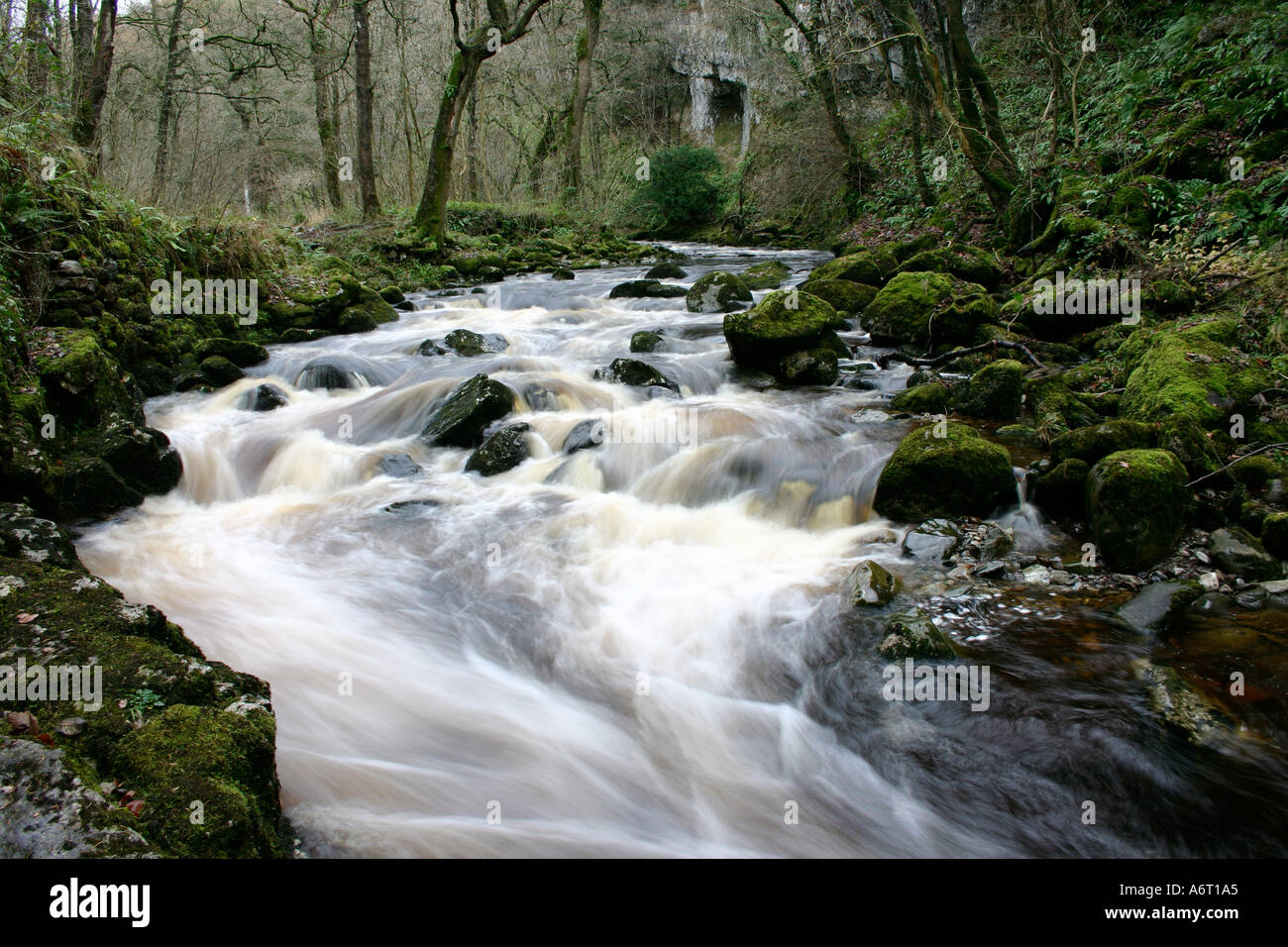 Twiss green hi-res stock photography and images - Alamy