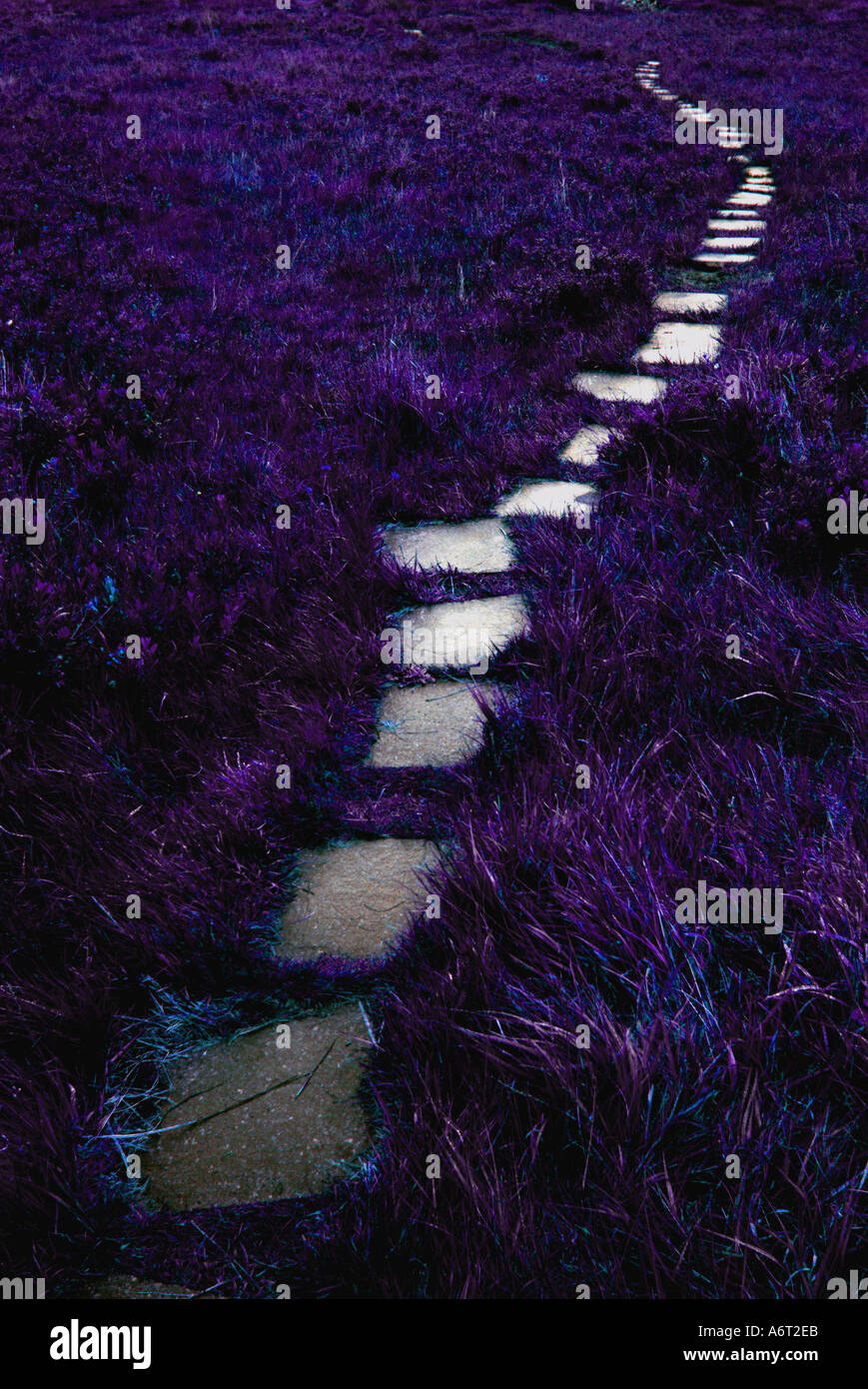 Stone stepping stone pathway leading to Ardgroom Stone Circle Beara ...