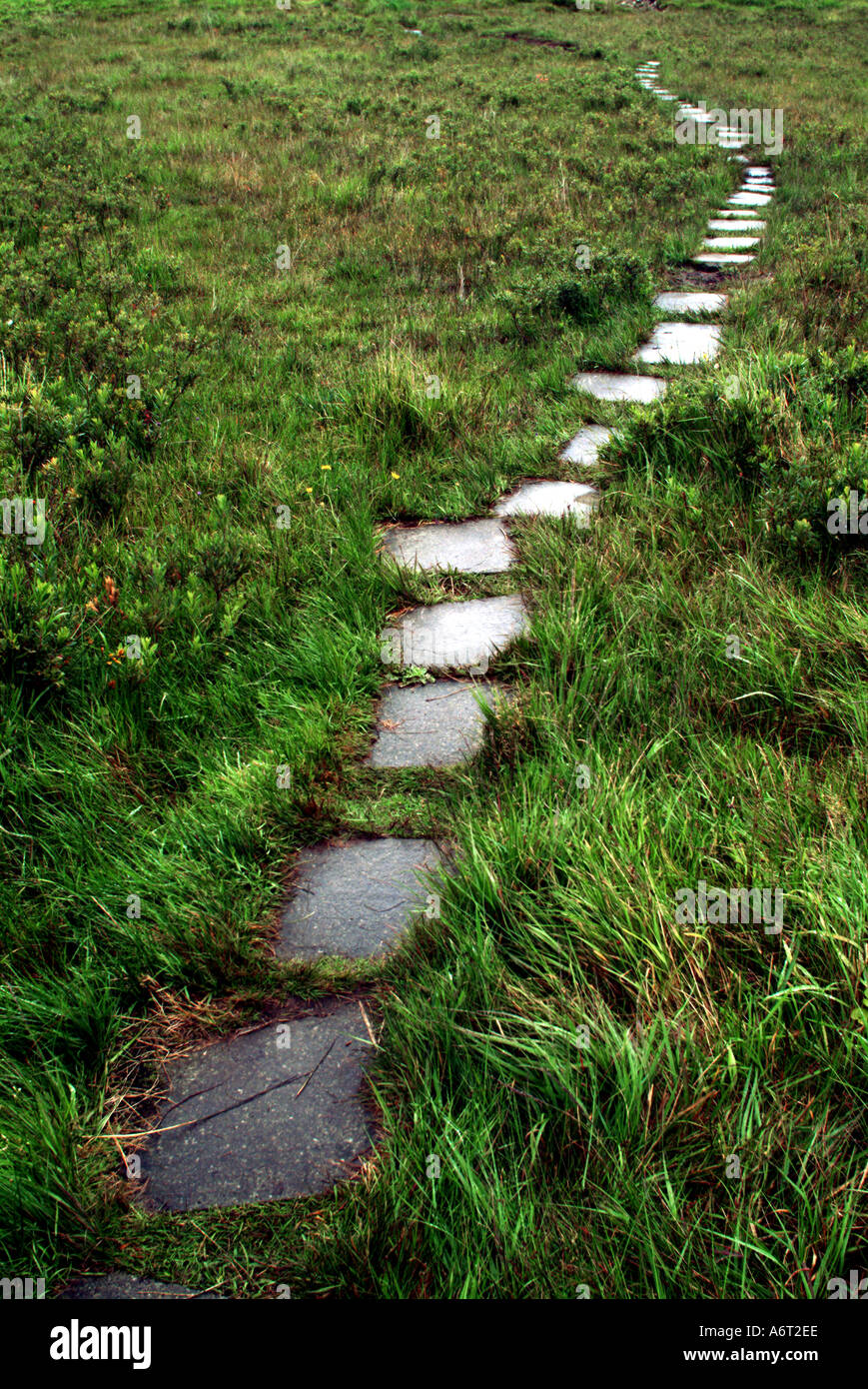 Stone stepping stone pathway leading to Ardgroom Stone Circle Beara ...