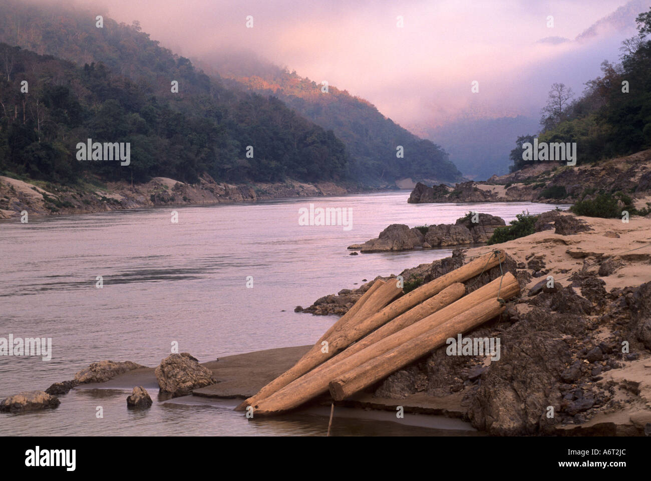 Teak logs (tectonis grandis) stacked beside the Salween River on the ...