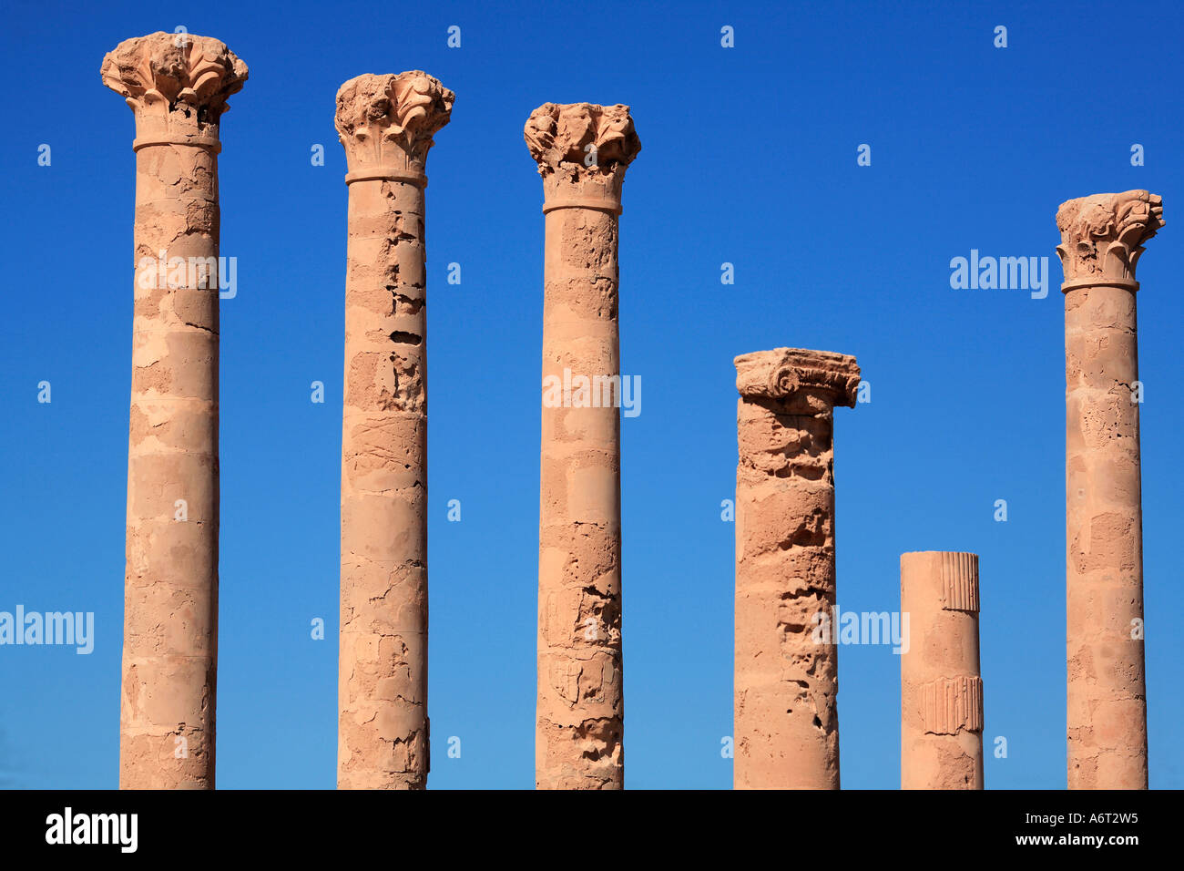 Lotus capitals hi-res stock photography and images - Alamy