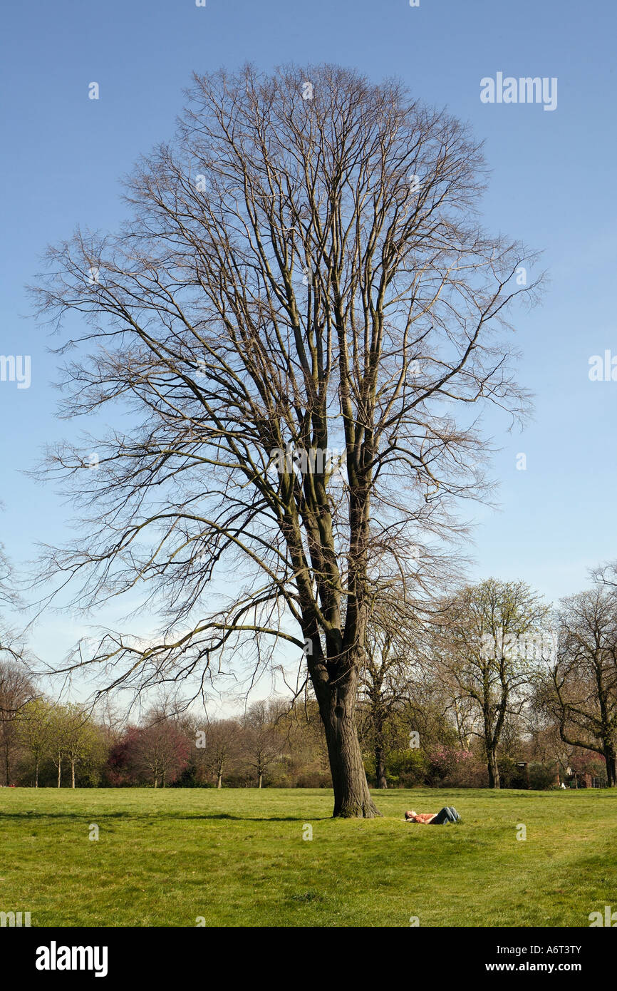 Man sleeping under tree hi-res stock photography and images - Alamy