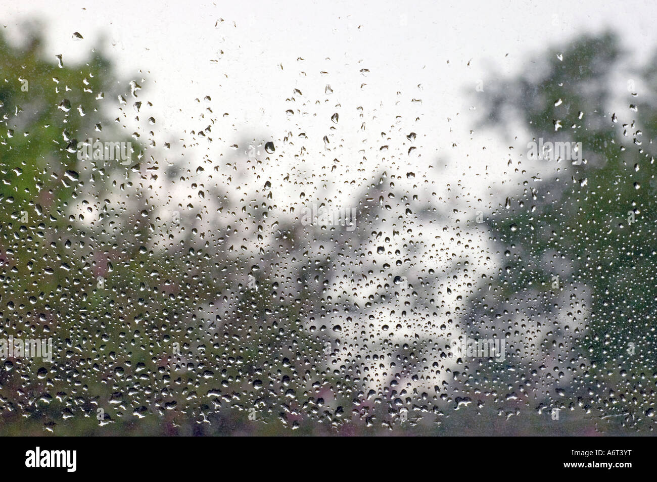 Raindrops on window Stock Photo - Alamy