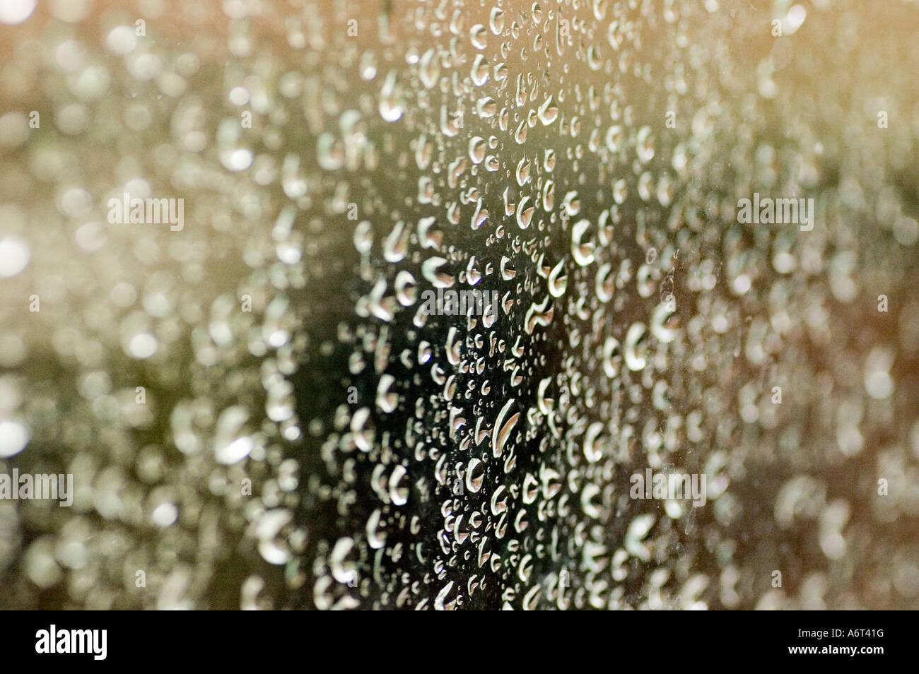 Raindrops on window Stock Photo - Alamy