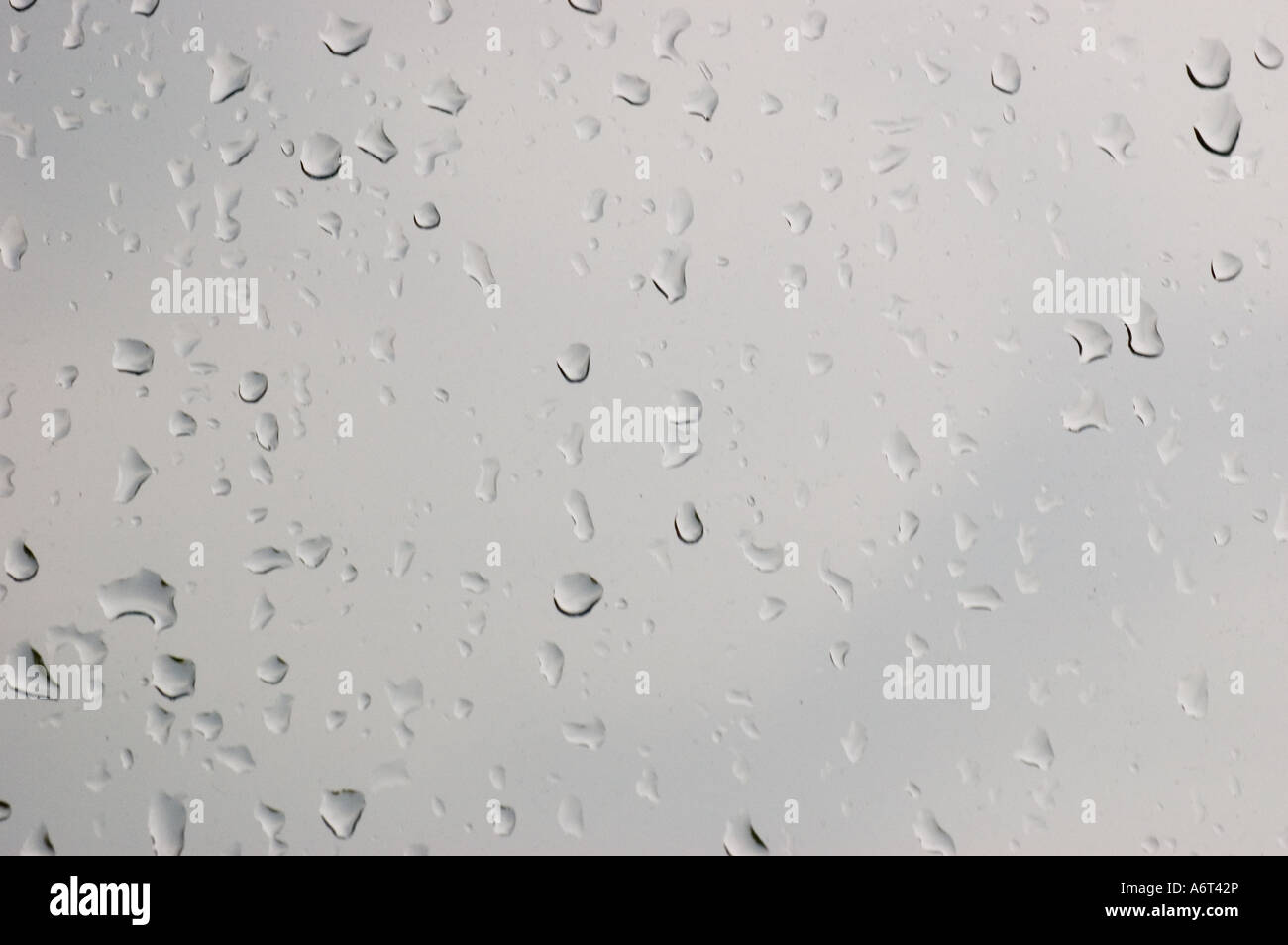 Raindrops on window Stock Photo - Alamy