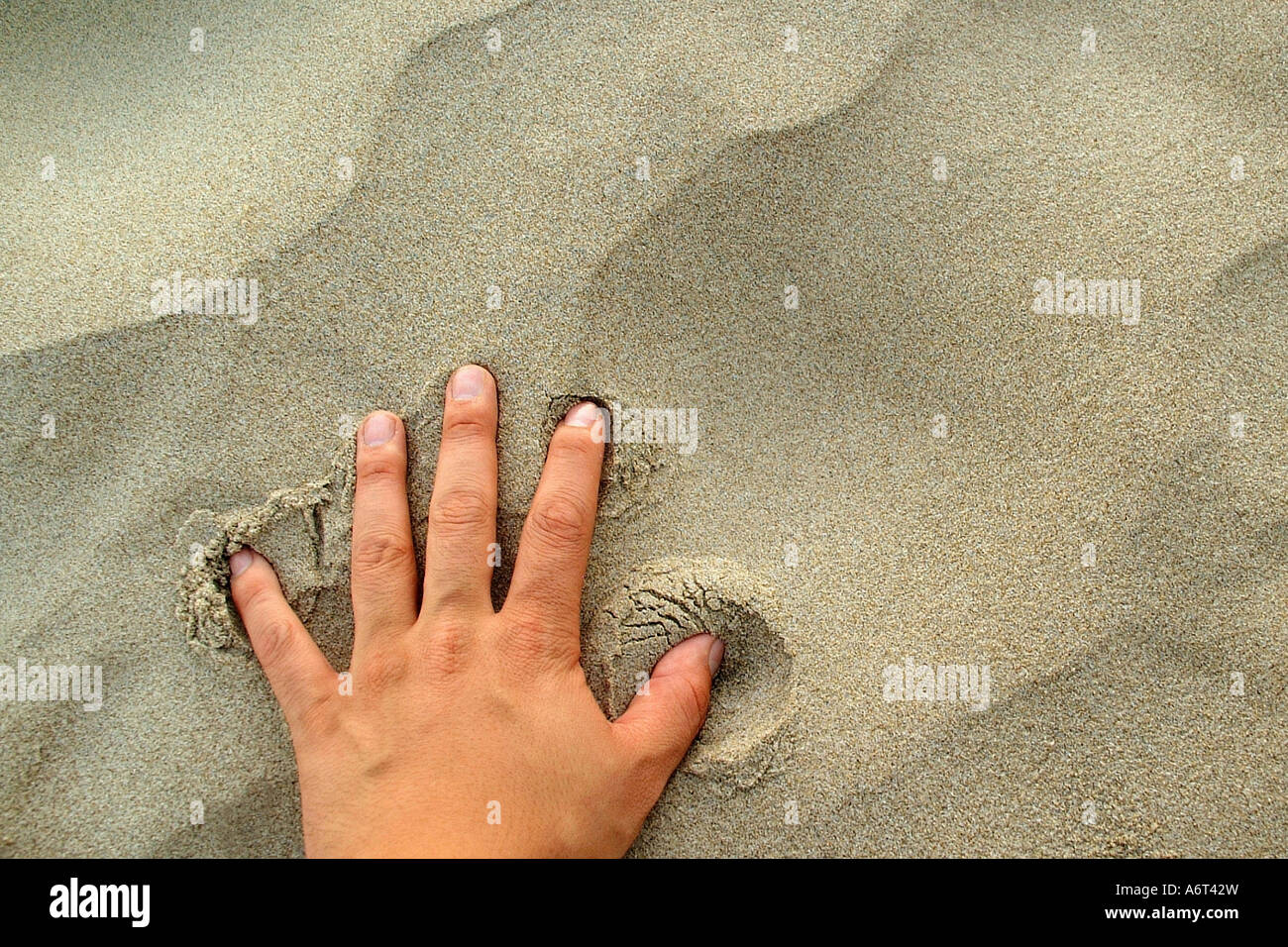 Male hand touching undisturbed, rippled beach sand on Ellwood Beach ...