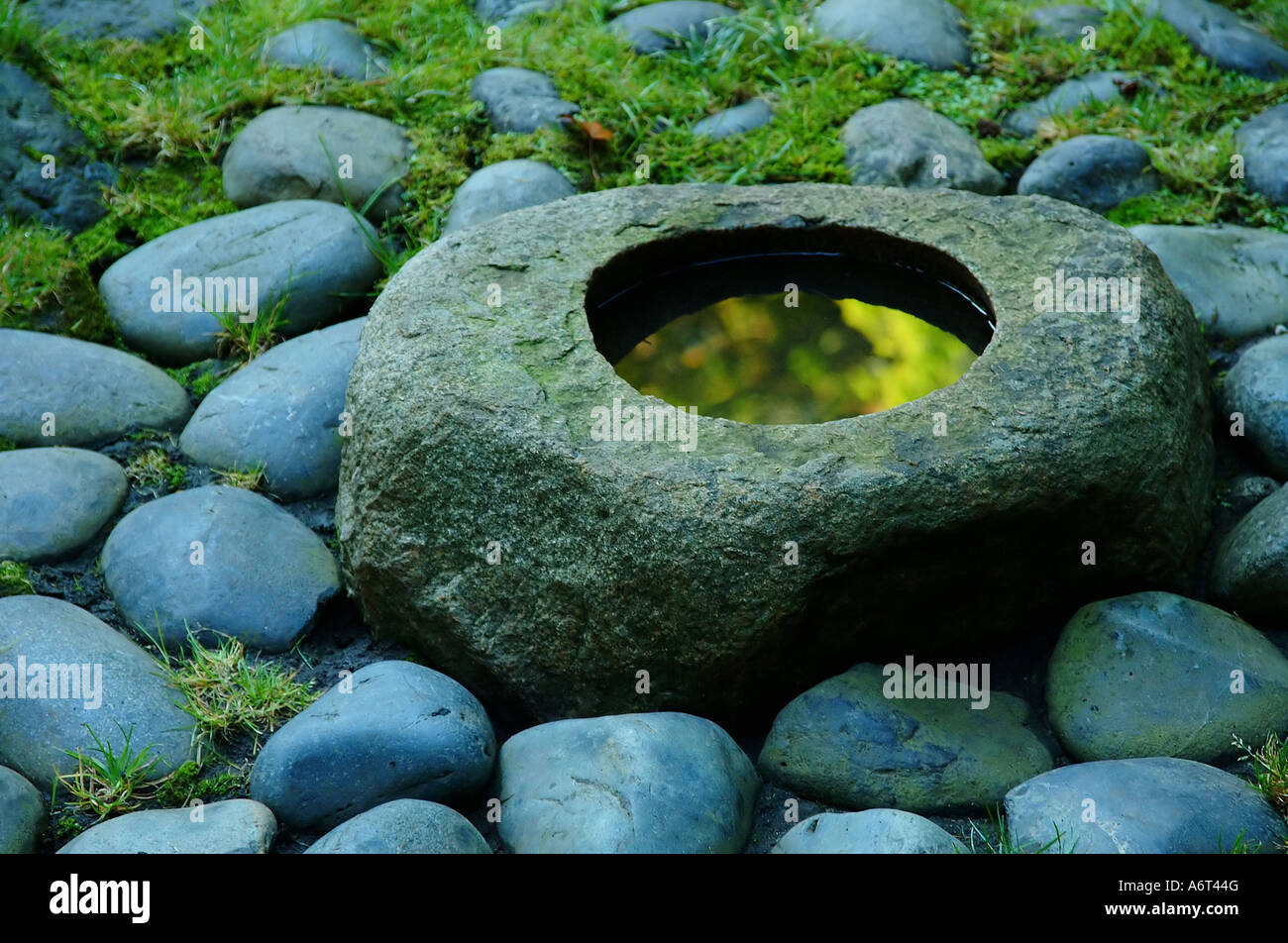Tiny reflecting pool in a hollow stone in the Japanese garden in Golden ...