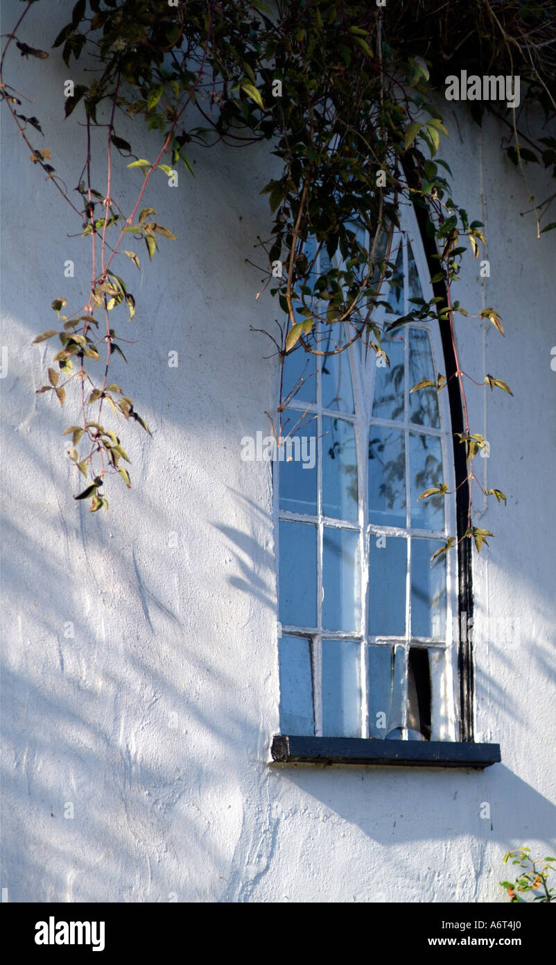 Ellingham Mill Suffolk Stock Photo - Alamy