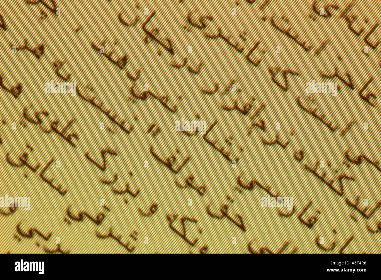Holy Quran Koran on computer screen Stock Photo - Alamy