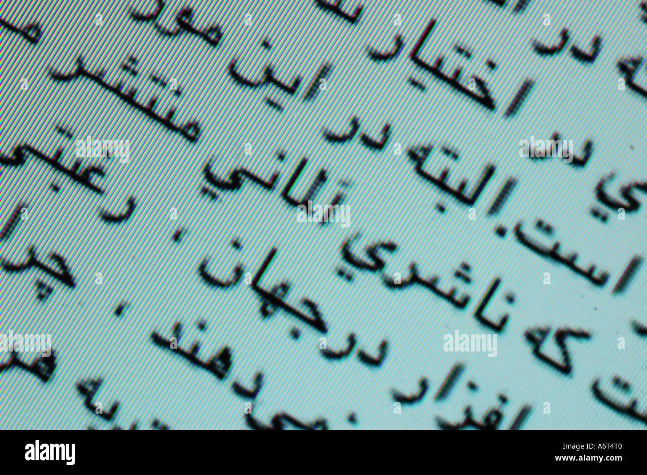 Quran Koran on computer screen Stock Photo - Alamy