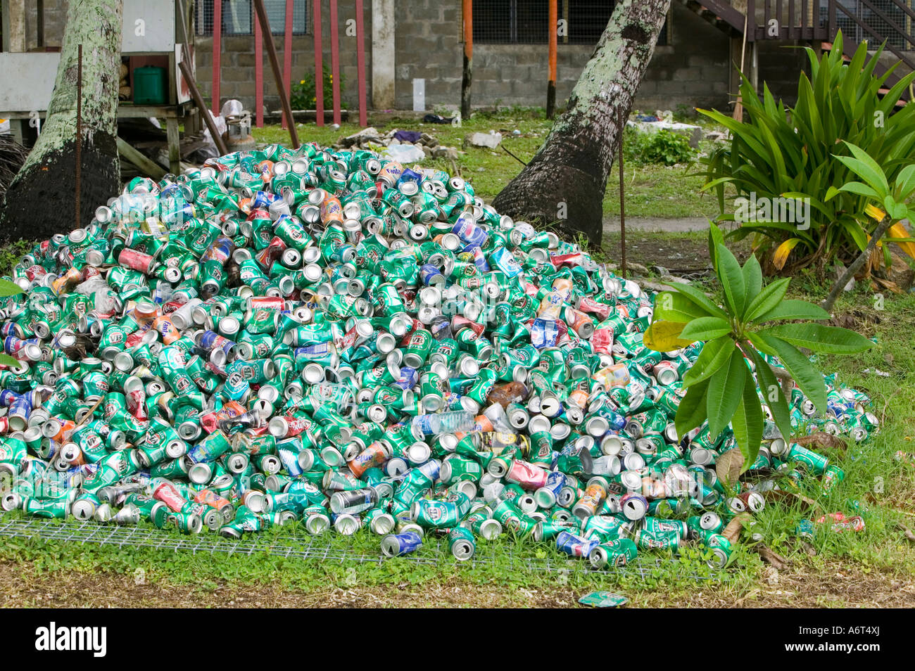 Beer cans piled up in a garden on Funafuti island, Tuvalu Stock Photo ...