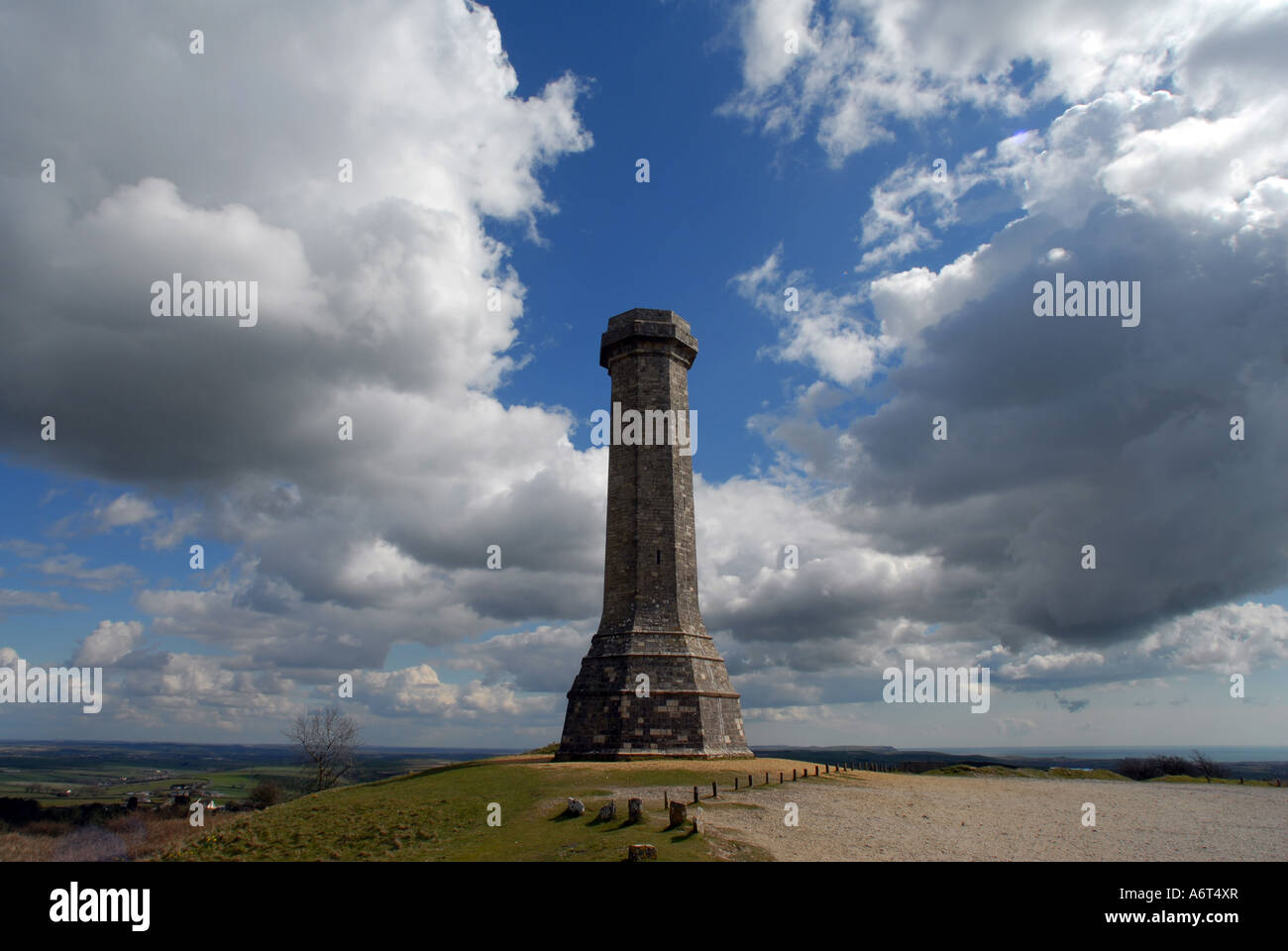 The Hardy monument, Black Down, Portesham, Dorset UK Stock Photo - Alamy