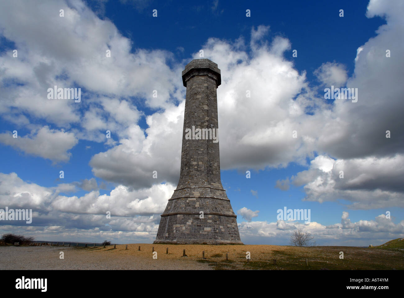The Hardy monument, Black Down, Portesham, Dorset UK Stock Photo - Alamy