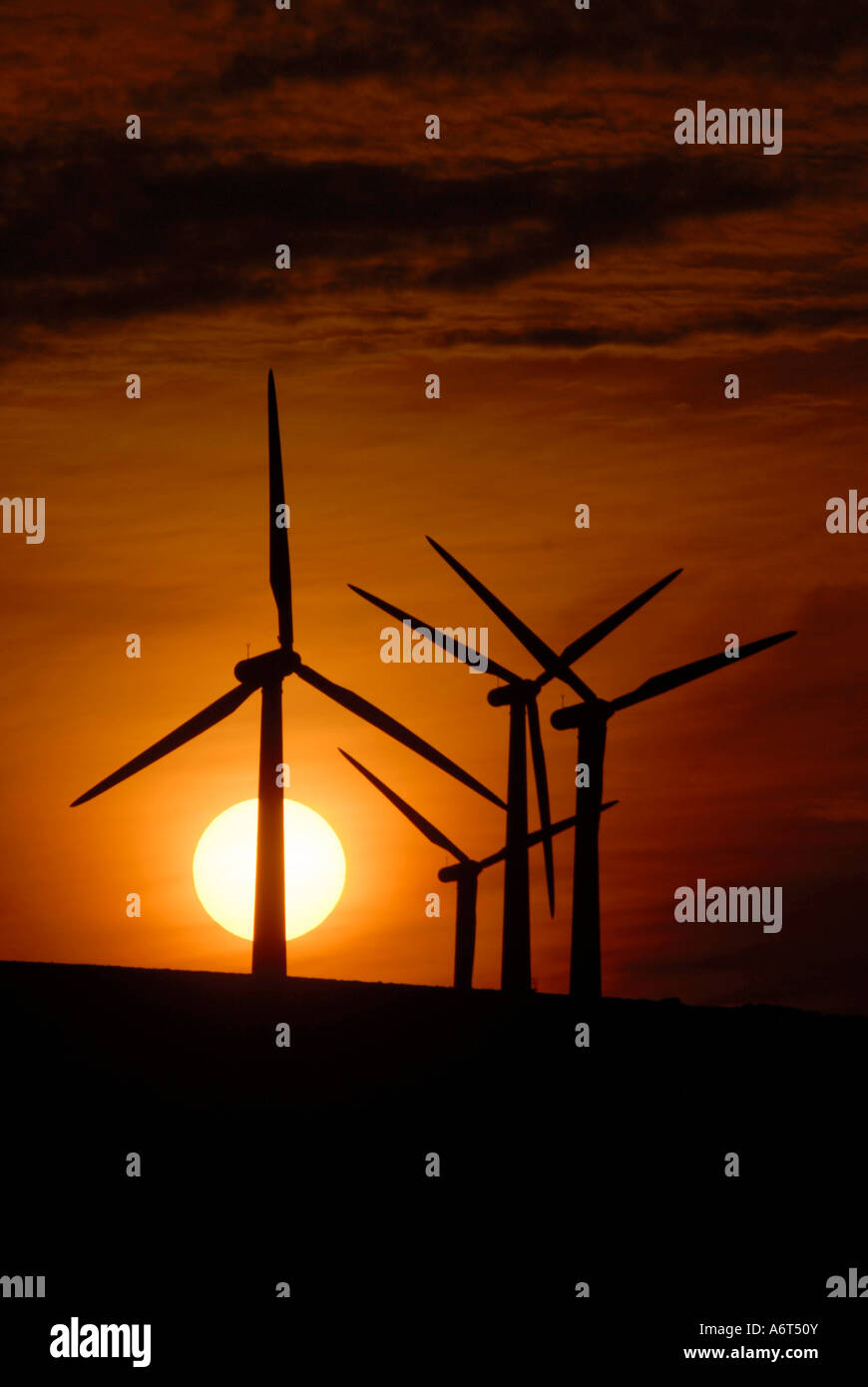 Sunset at Carno wind farm Powys, Wales, UK Stock Photo - Alamy