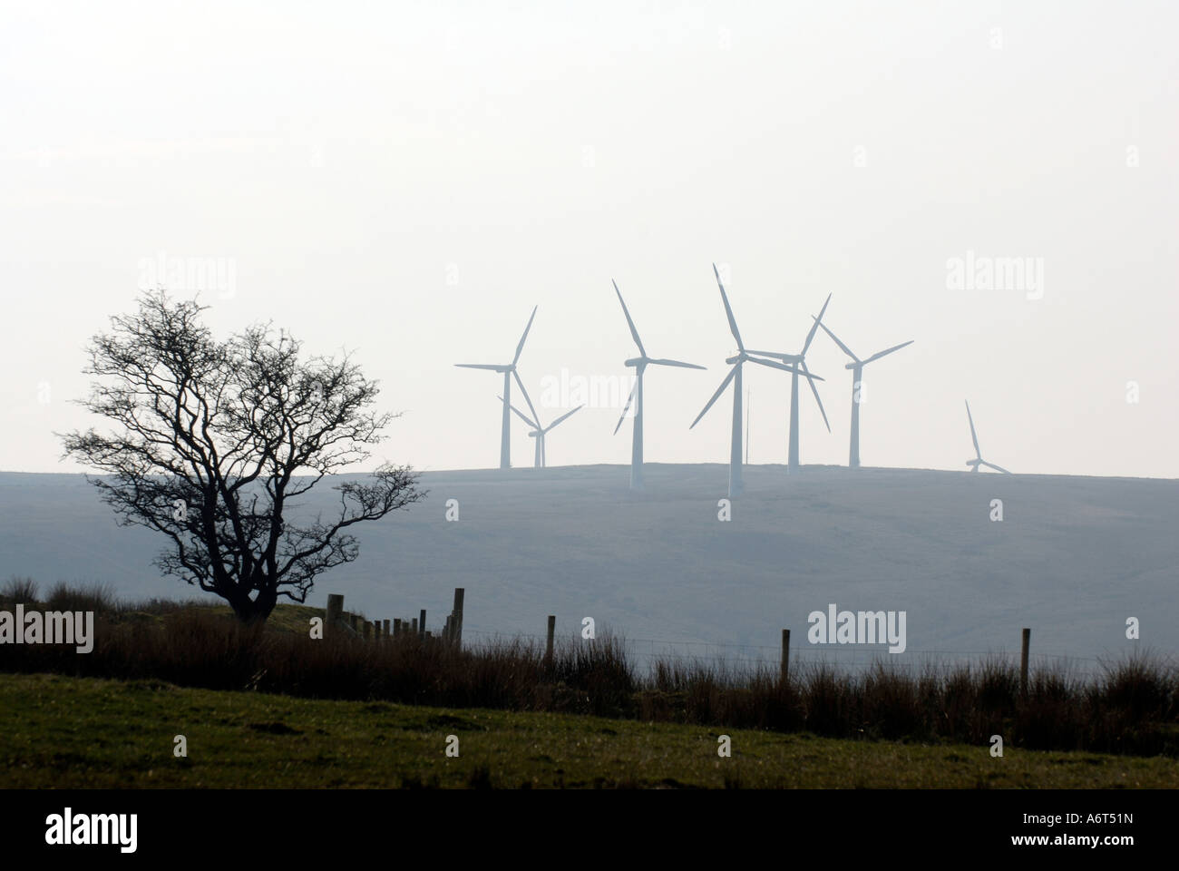 Wind turbines on Trannon Moor at Carno, Powys, Wales Stock Photo - Alamy