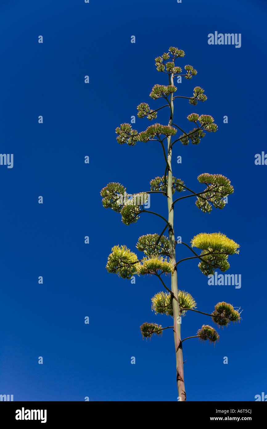 Rodrigues relatively undiscovered travel destination hi-res stock ...