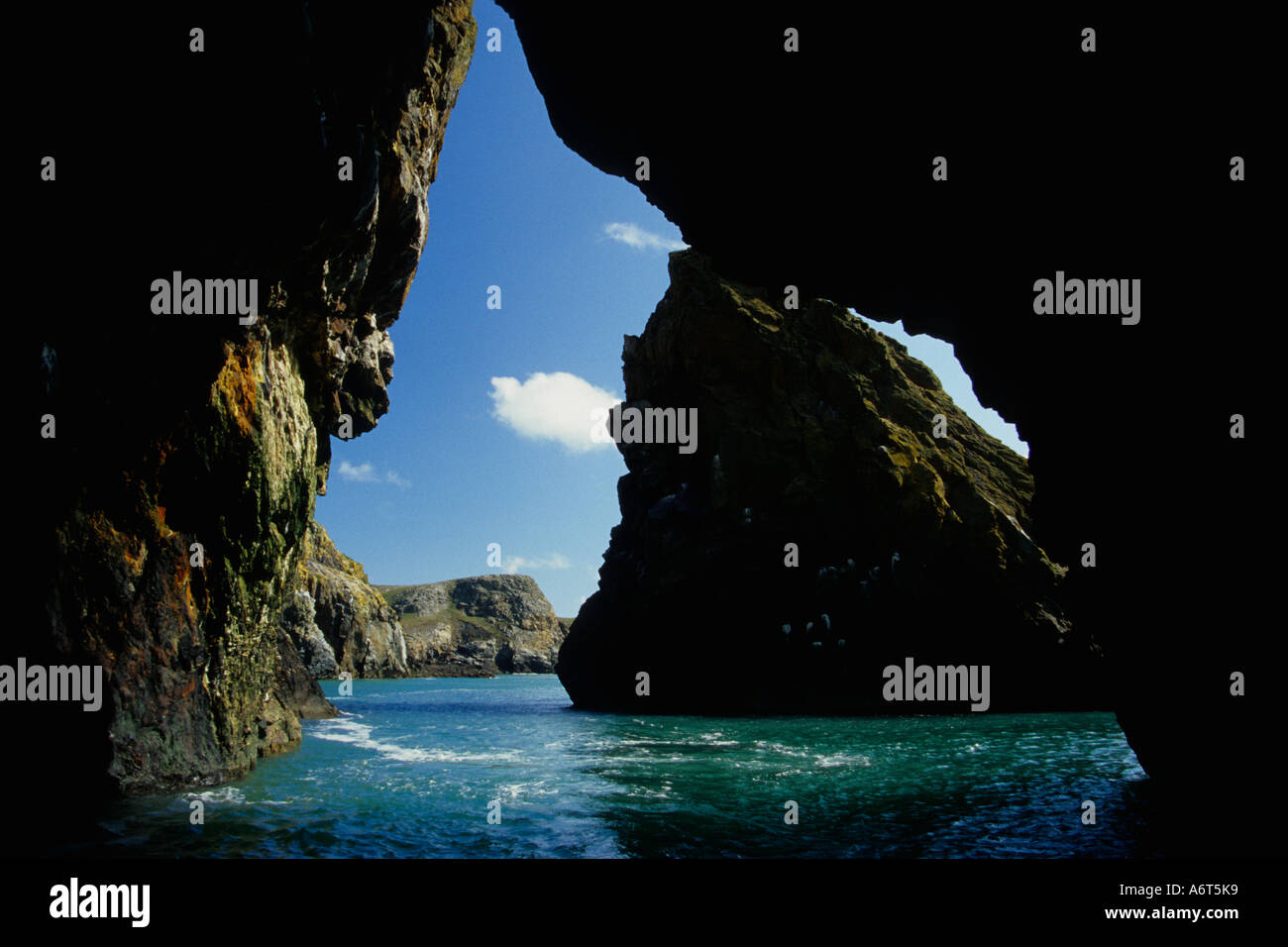 Sea cave Ramsey Island Nature Reserve St Davids David's Pembrokeshire ...