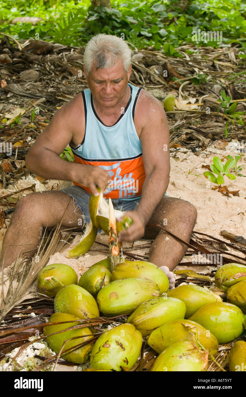 A tuvaluan man de-husks coconuts on Tepuka Island, Funafuti, tuvalu ...