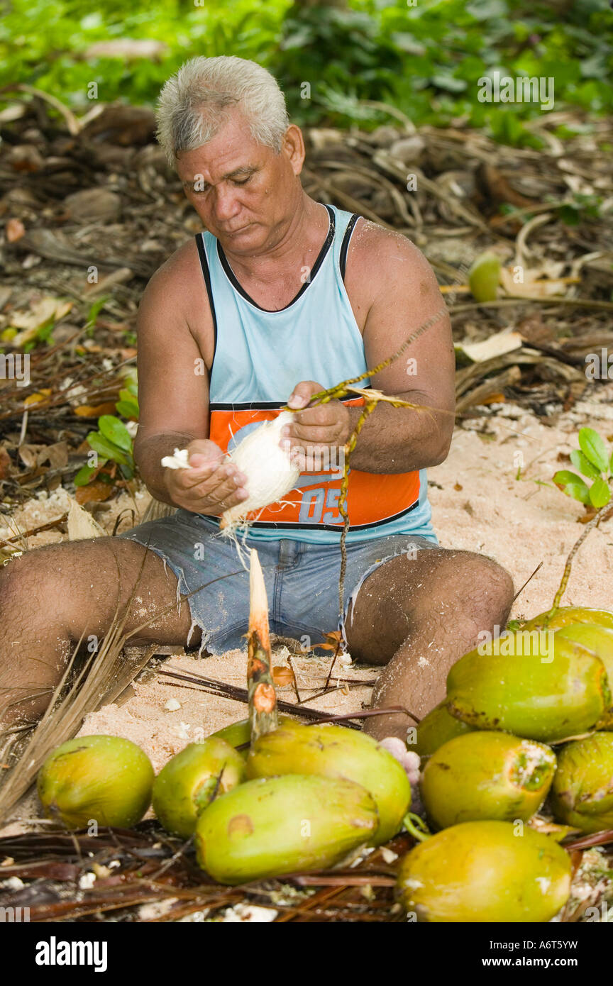 A tuvaluan man de-husks coconuts on Tepuka Island, Funafuti, tuvalu ...