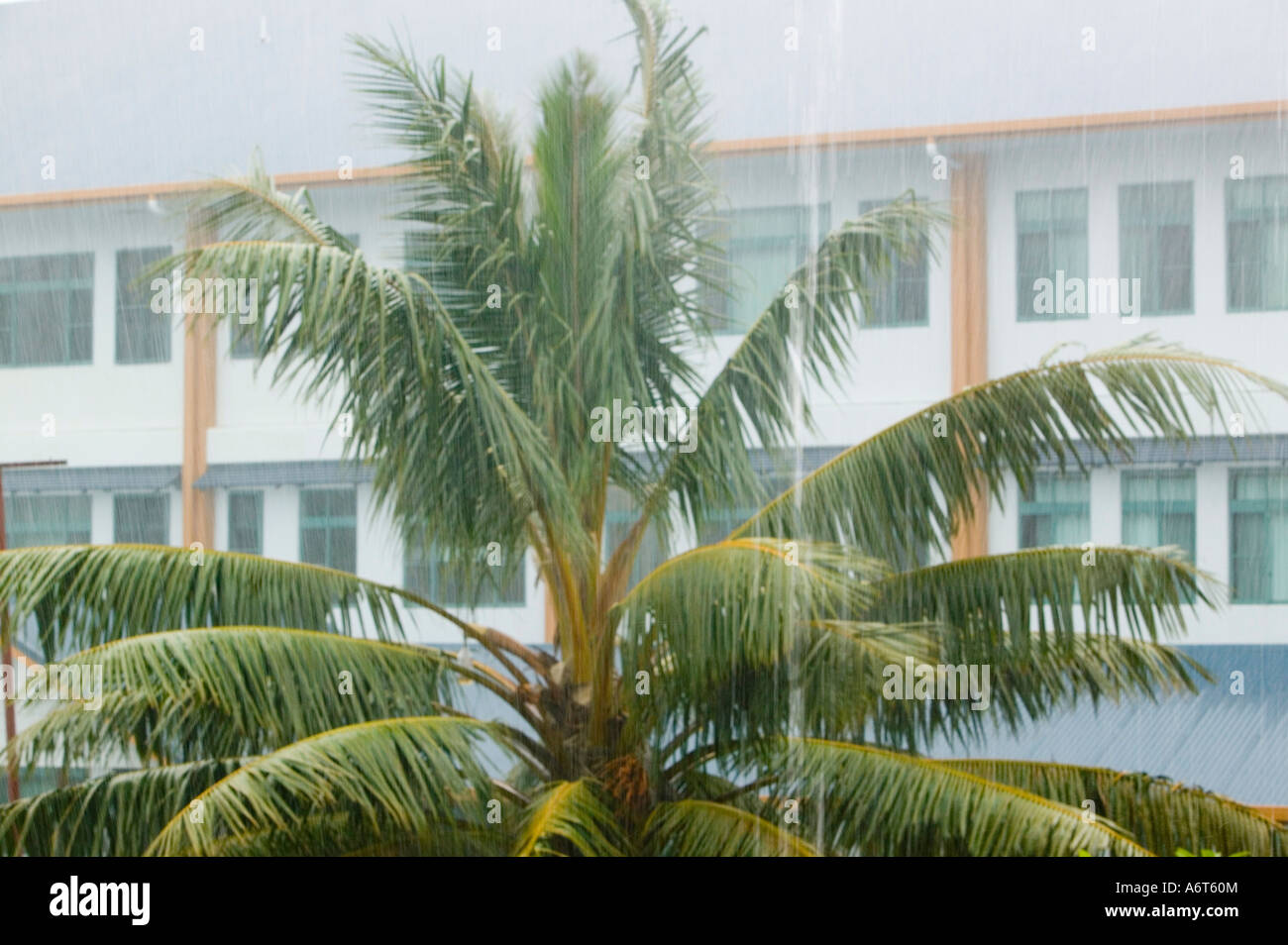 Funafuti building hi-res stock photography and images - Alamy