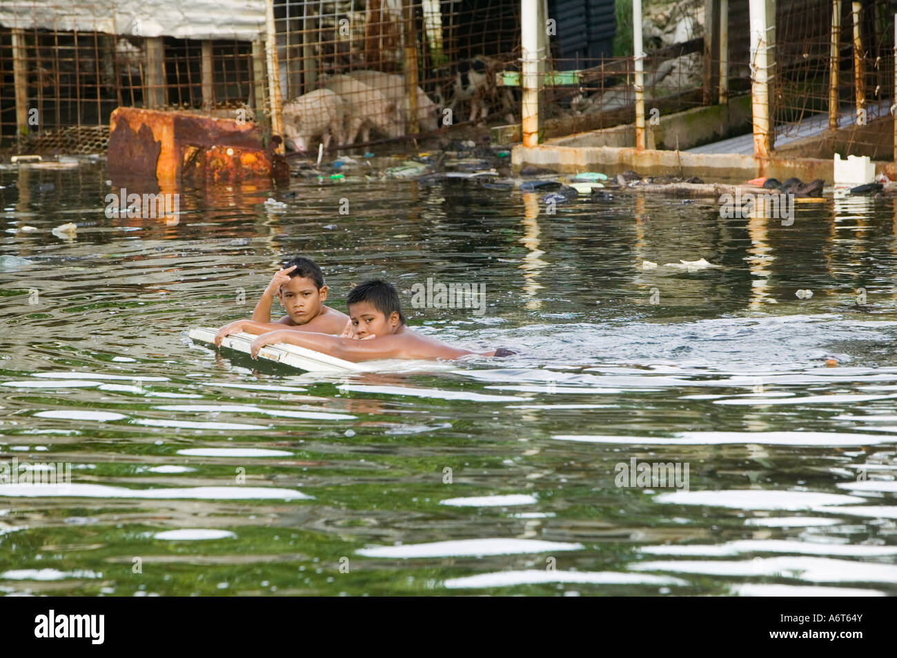 Tuvalu house funafuti hi-res stock photography and images - Alamy