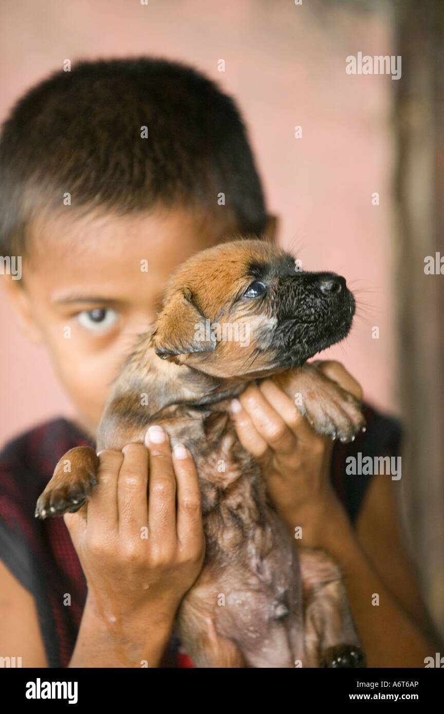 Tuvalu house funafuti hi-res stock photography and images - Alamy