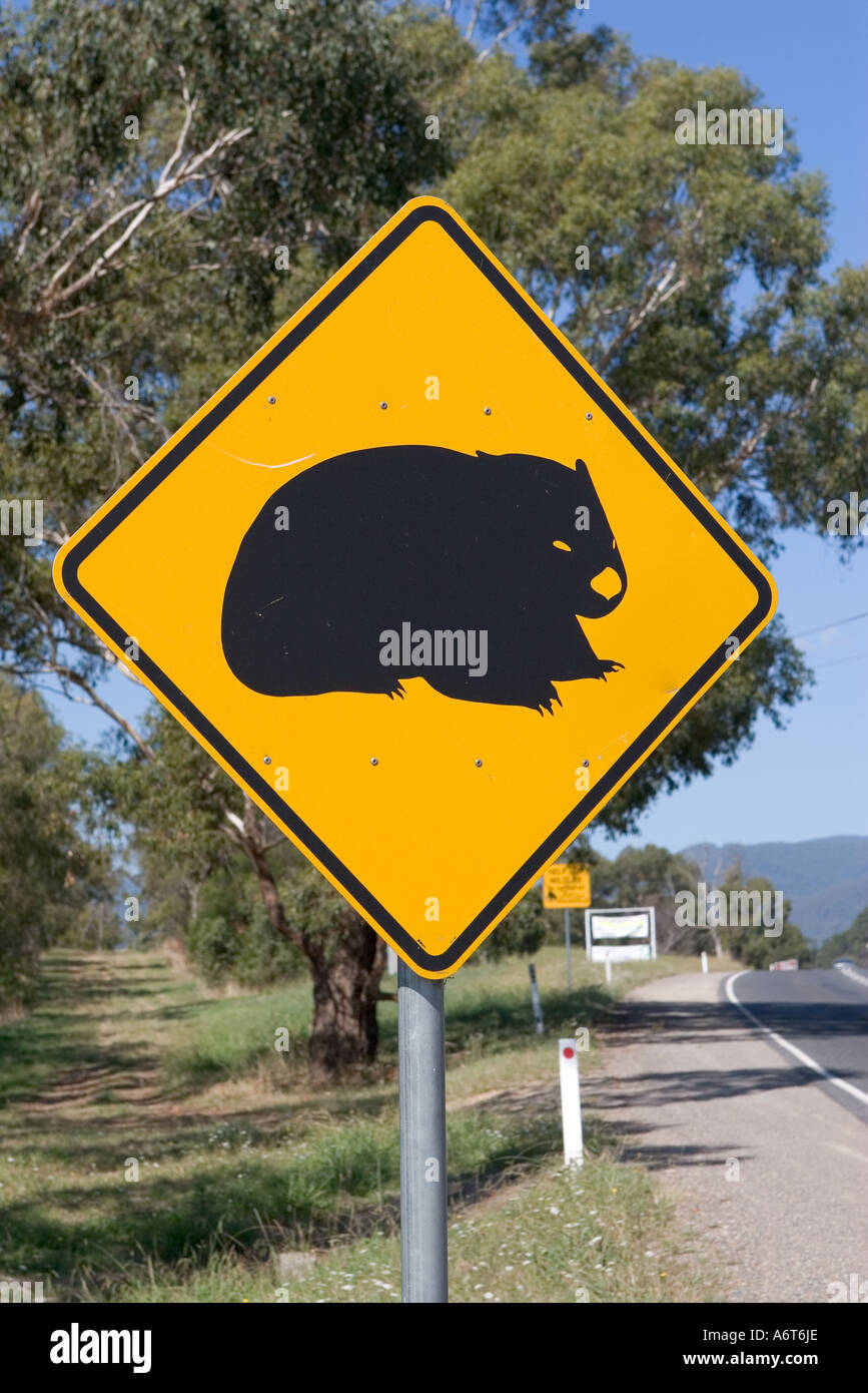 Wombats crossing road sign Stock Photo - Alamy