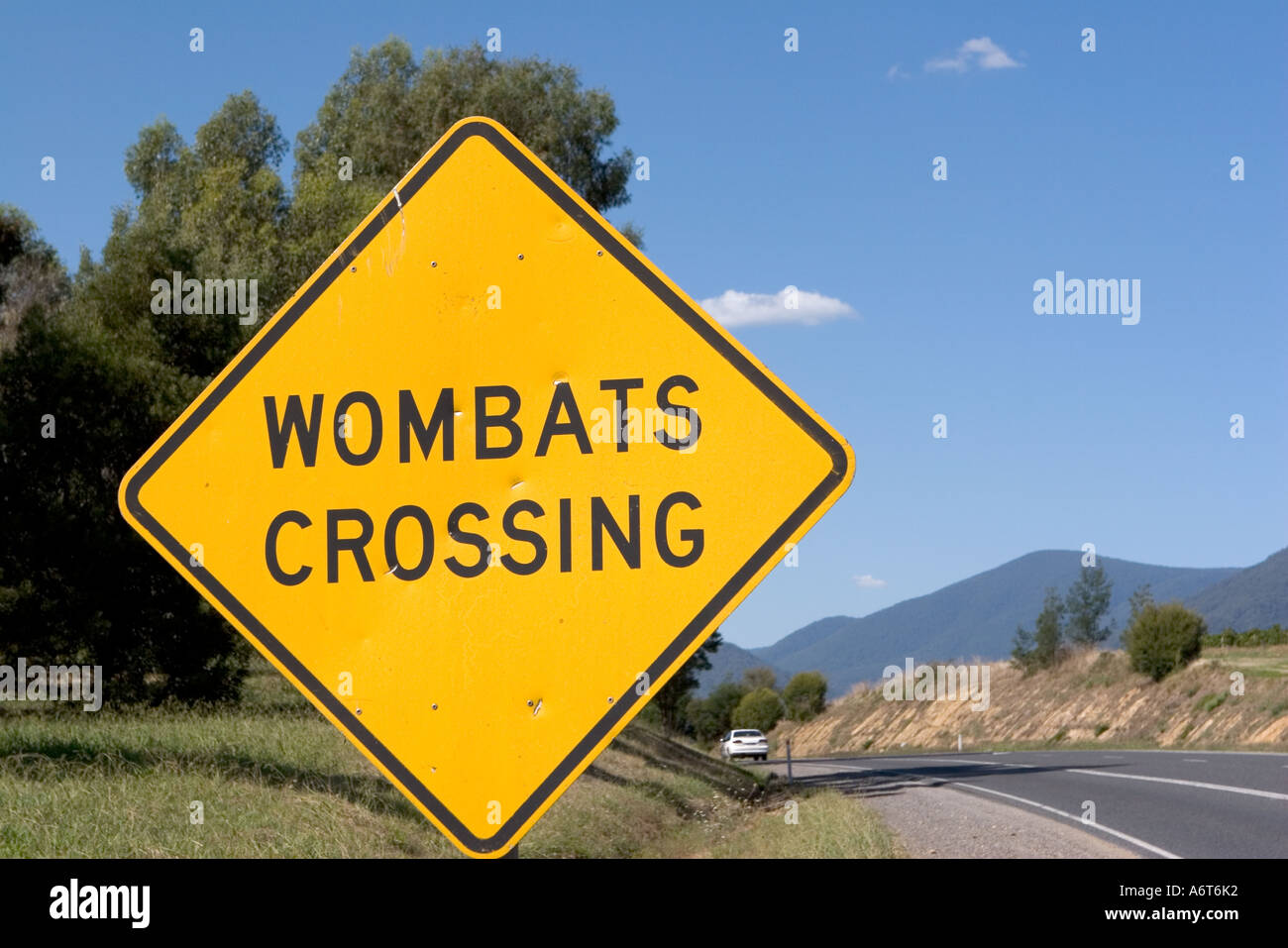 Wombats crossing road sign Stock Photo - Alamy