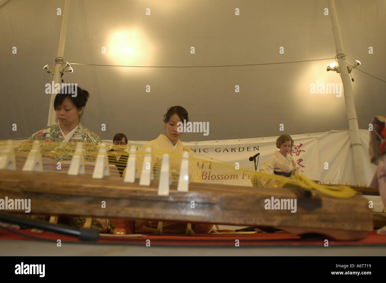 Traditional Japanese music performance New Yorkers celebrate the Cherry ...