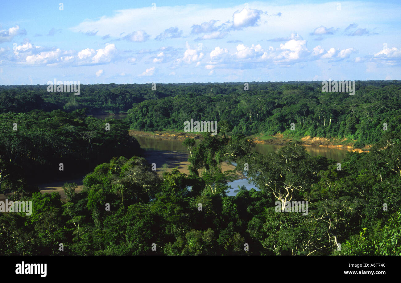 Overlooking canopy amazon rainforest hi-res stock photography and ...