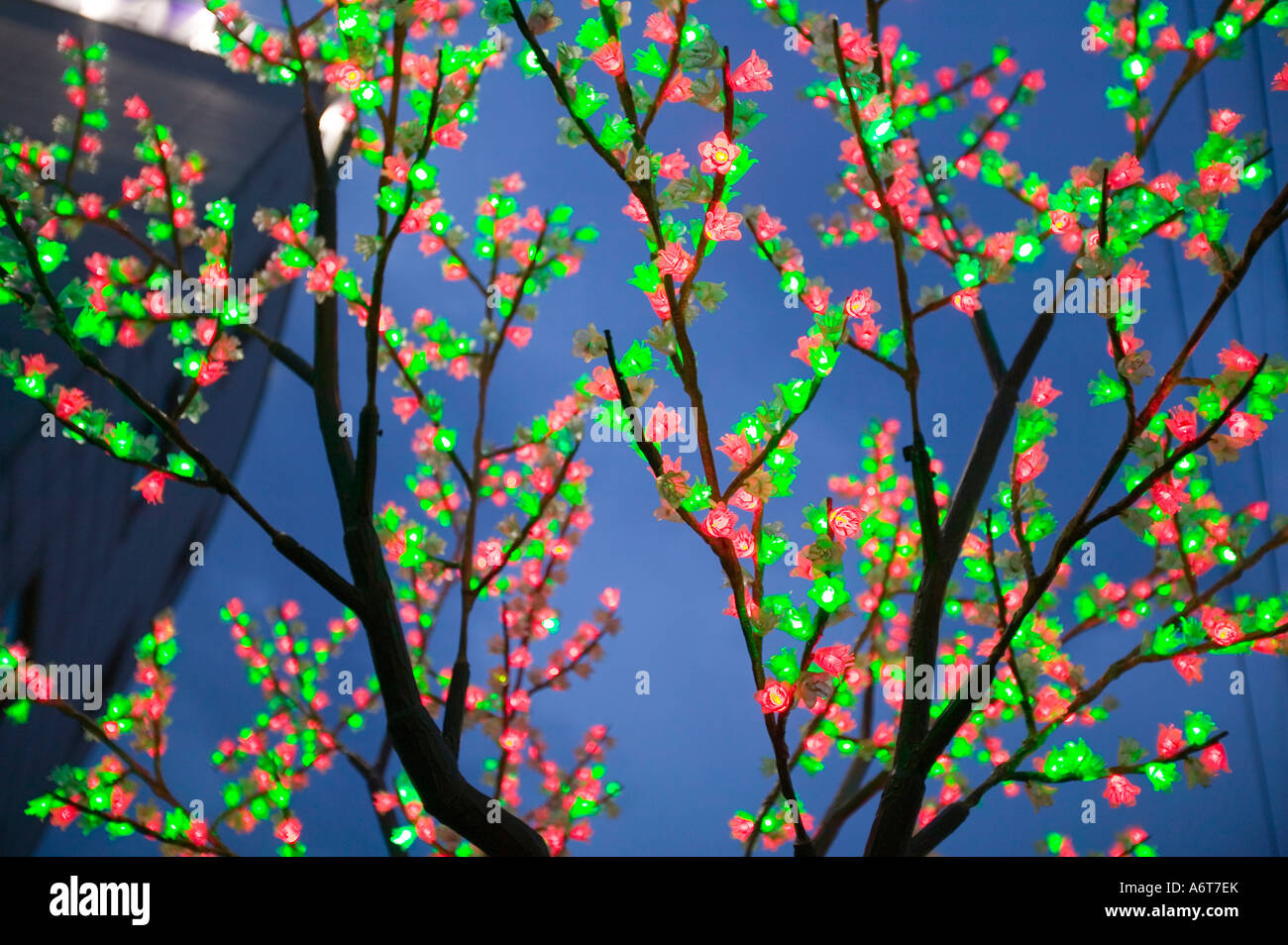 Tree lights outside the Hotel Grand Incheon, Seoul, south Korea Stock ...