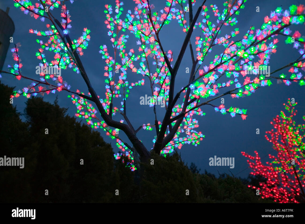Tree lights outside the Hotel Grand Incheon, Seoul, south korea Stock ...