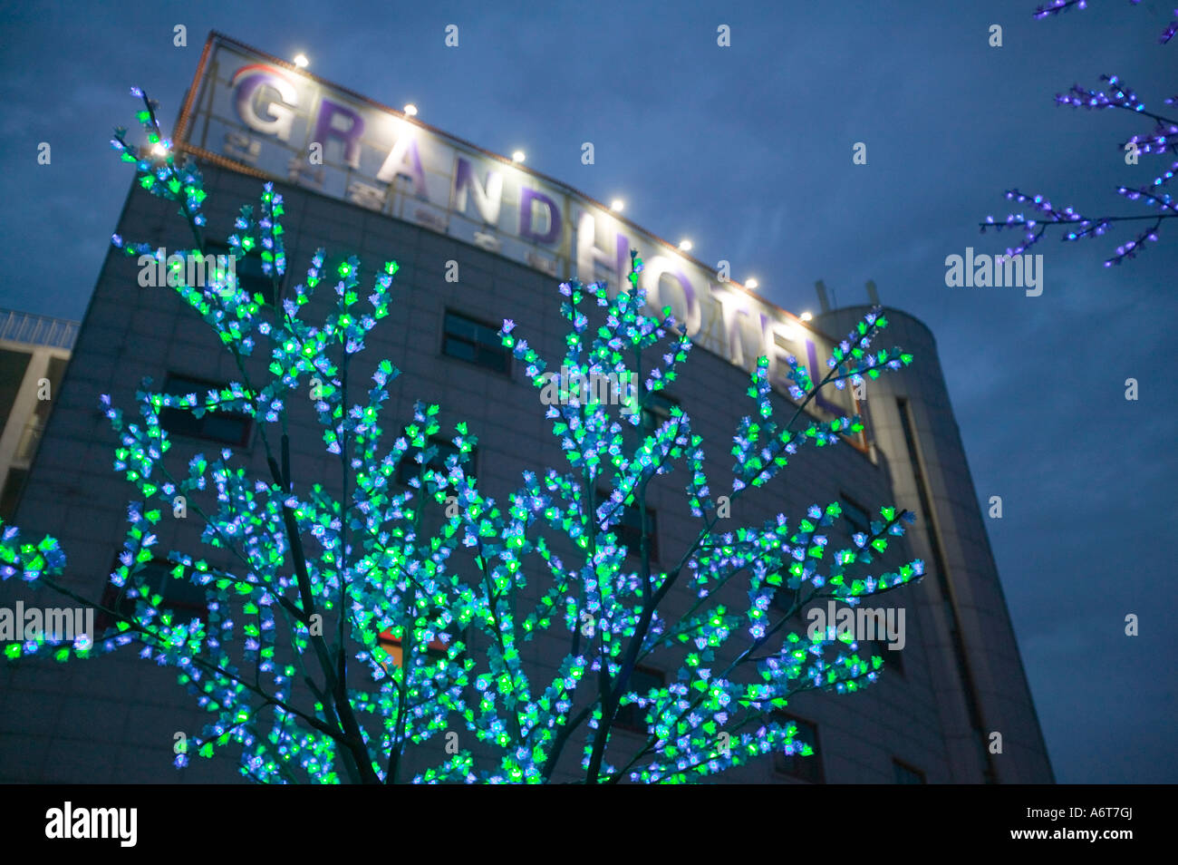 Tree lights outside the Hotel Grand Incheon, Seoul, south korea Stock ...