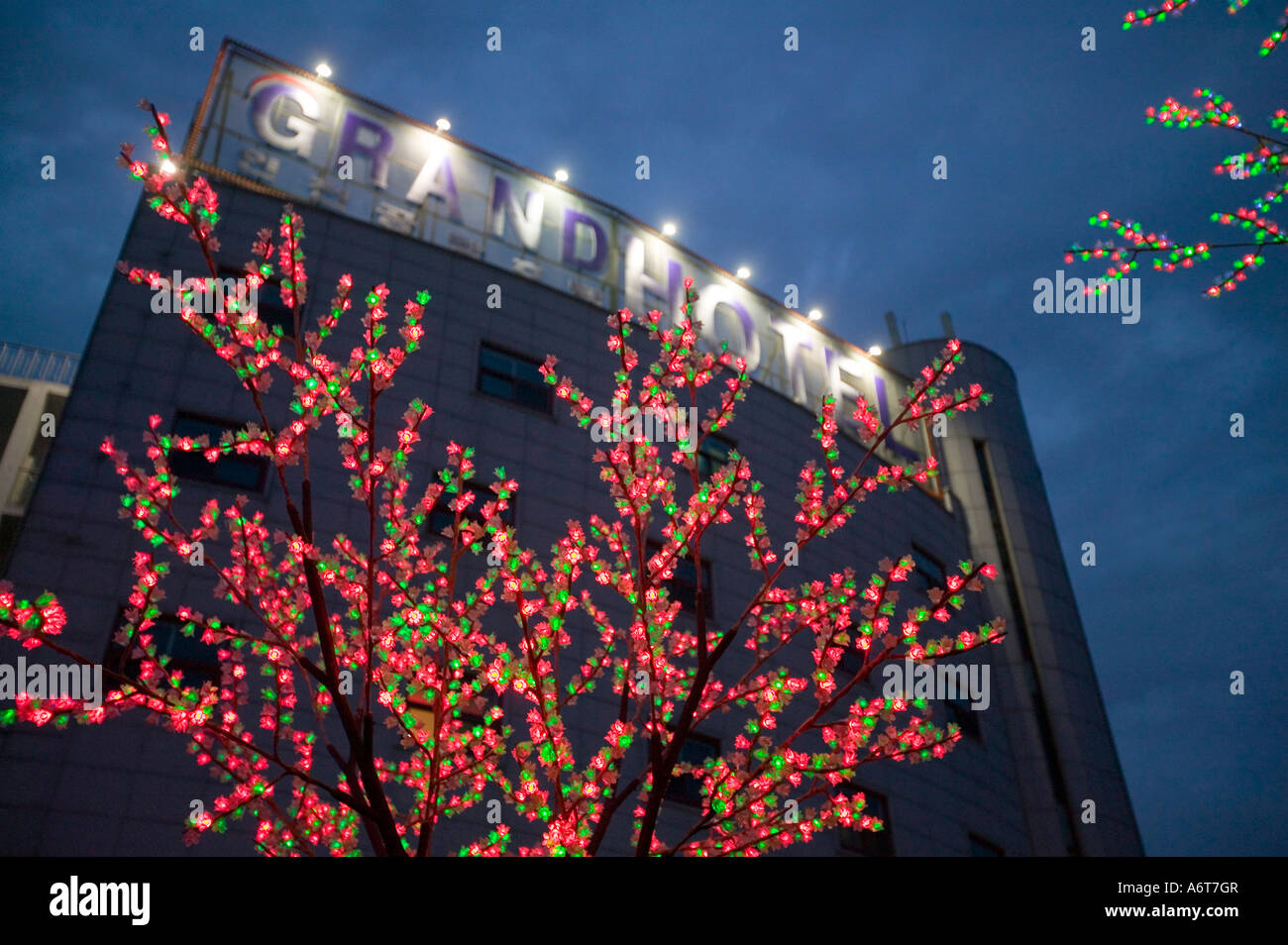 Tree lights outside the Hotel Grand Incheon, Seoul, south korea Stock ...