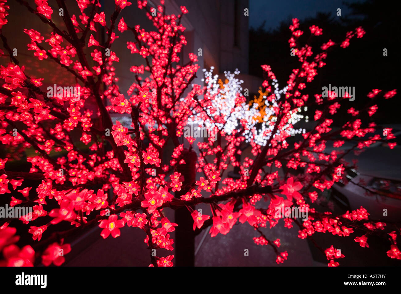 Tree lights outside the Hotel Grand Incheon, Seoul, south Korea Stock ...