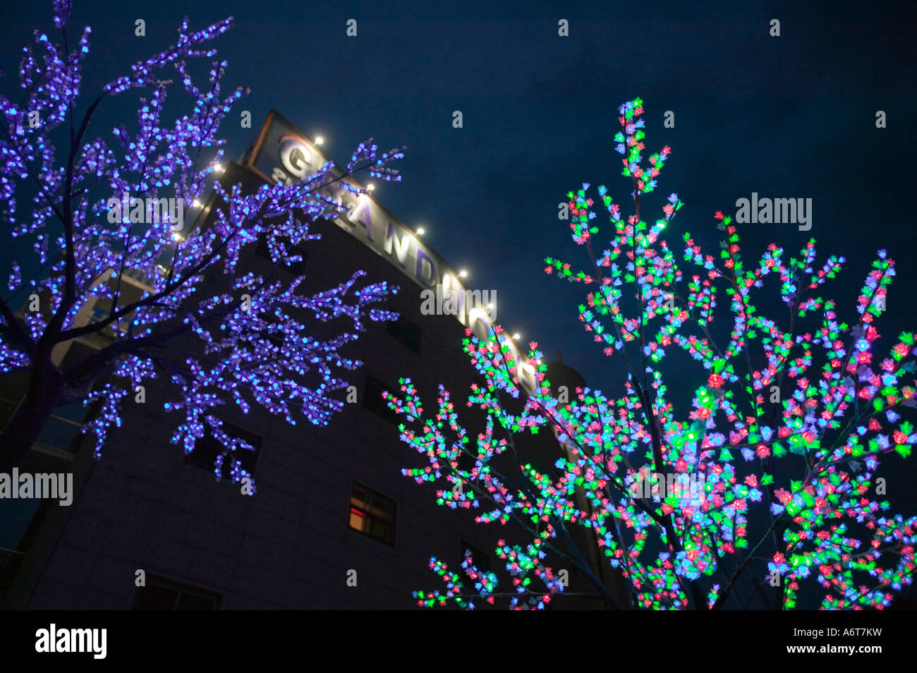 Tree lights outside the Hotel Grand Incheon, Seoul, south Korea Stock ...