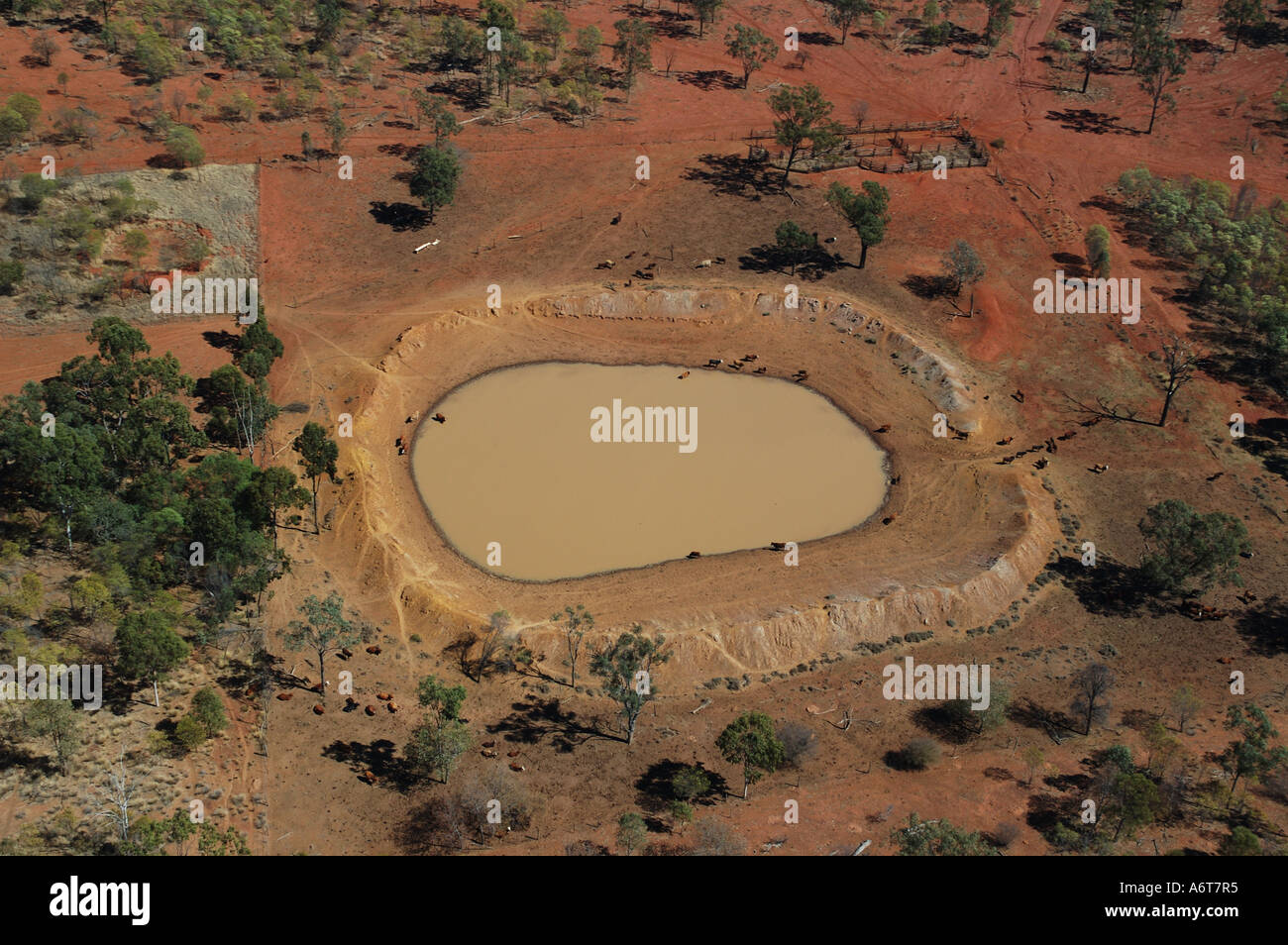 turkey nest dam on Outback cattle station Queensland Australia Stock ...