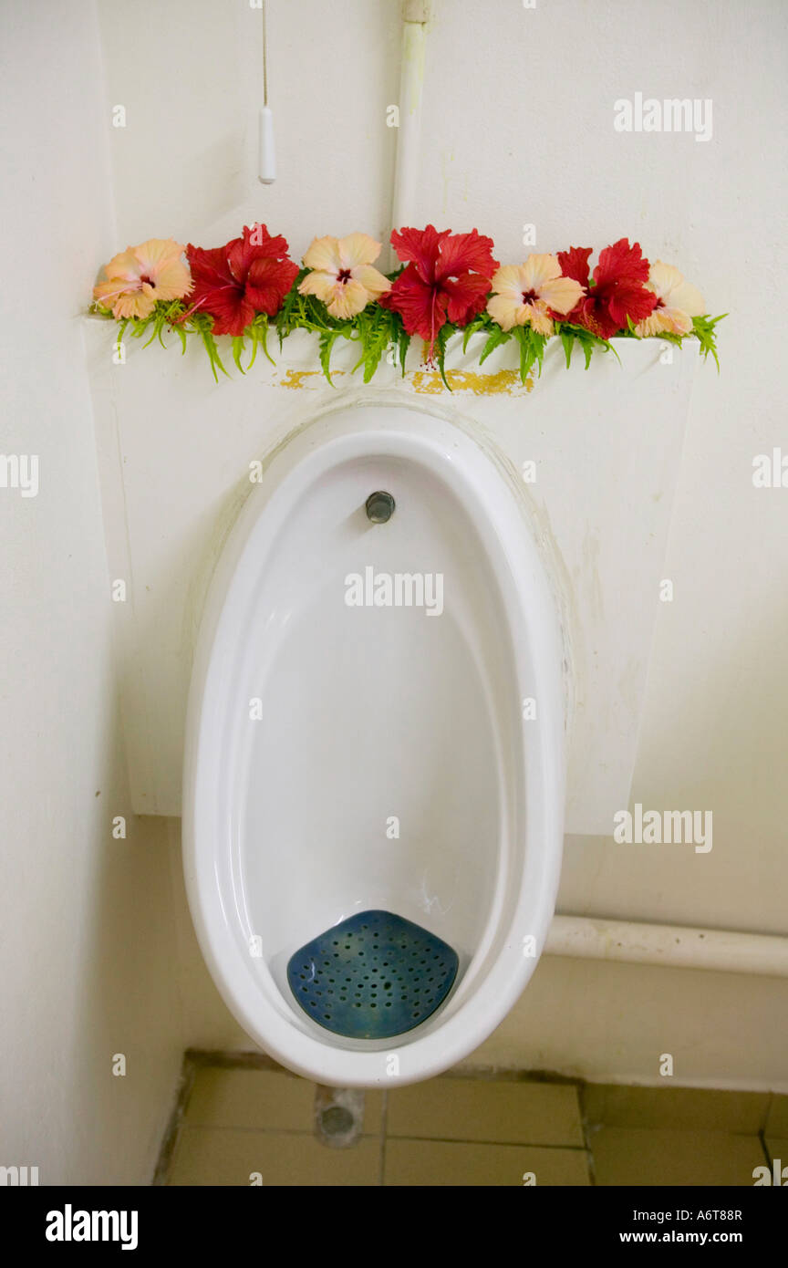 Flowers placed in the gents urinal on a holiday resort in Fiji Stock ...