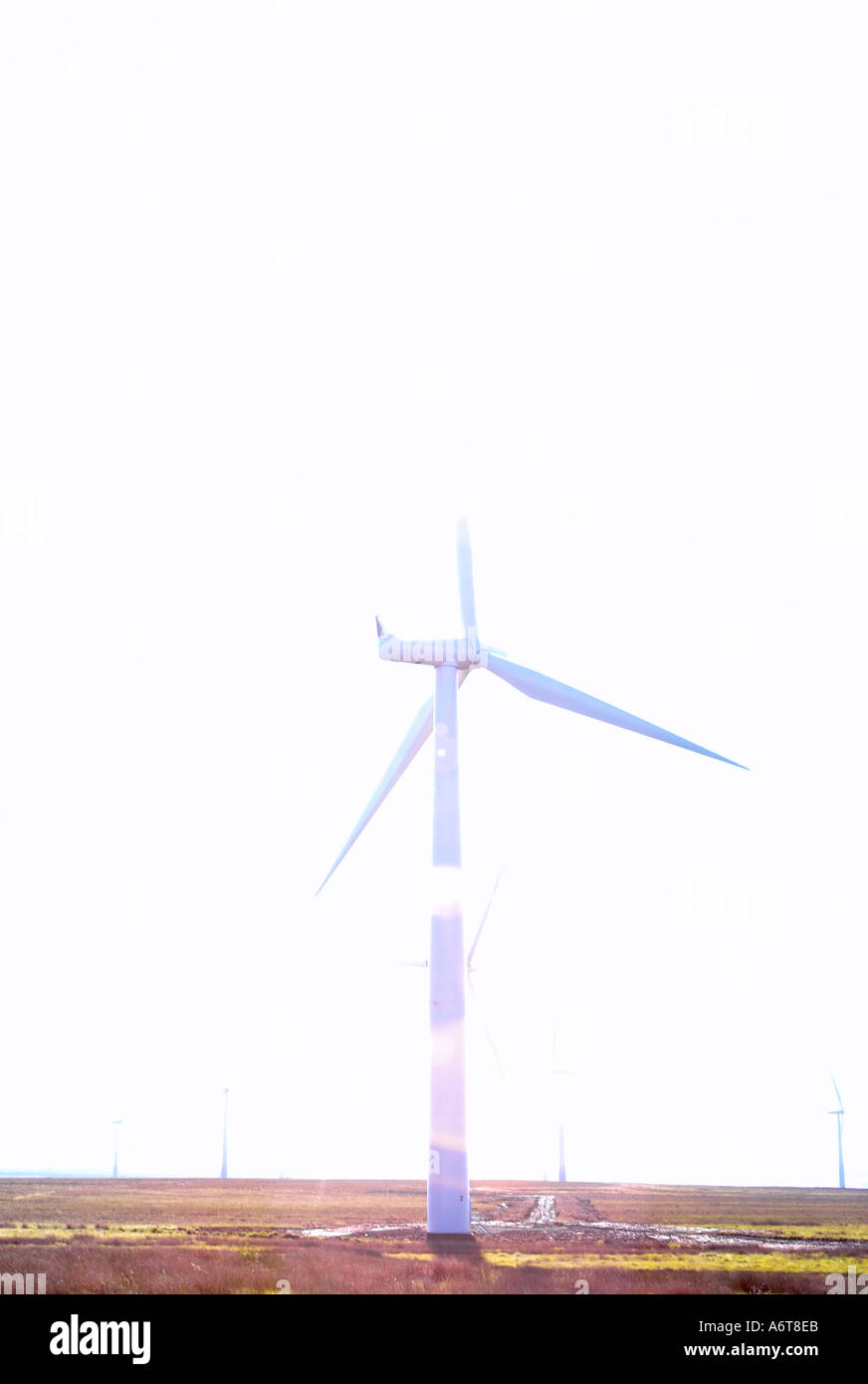 Thurso wind farm hi-res stock photography and images - Alamy