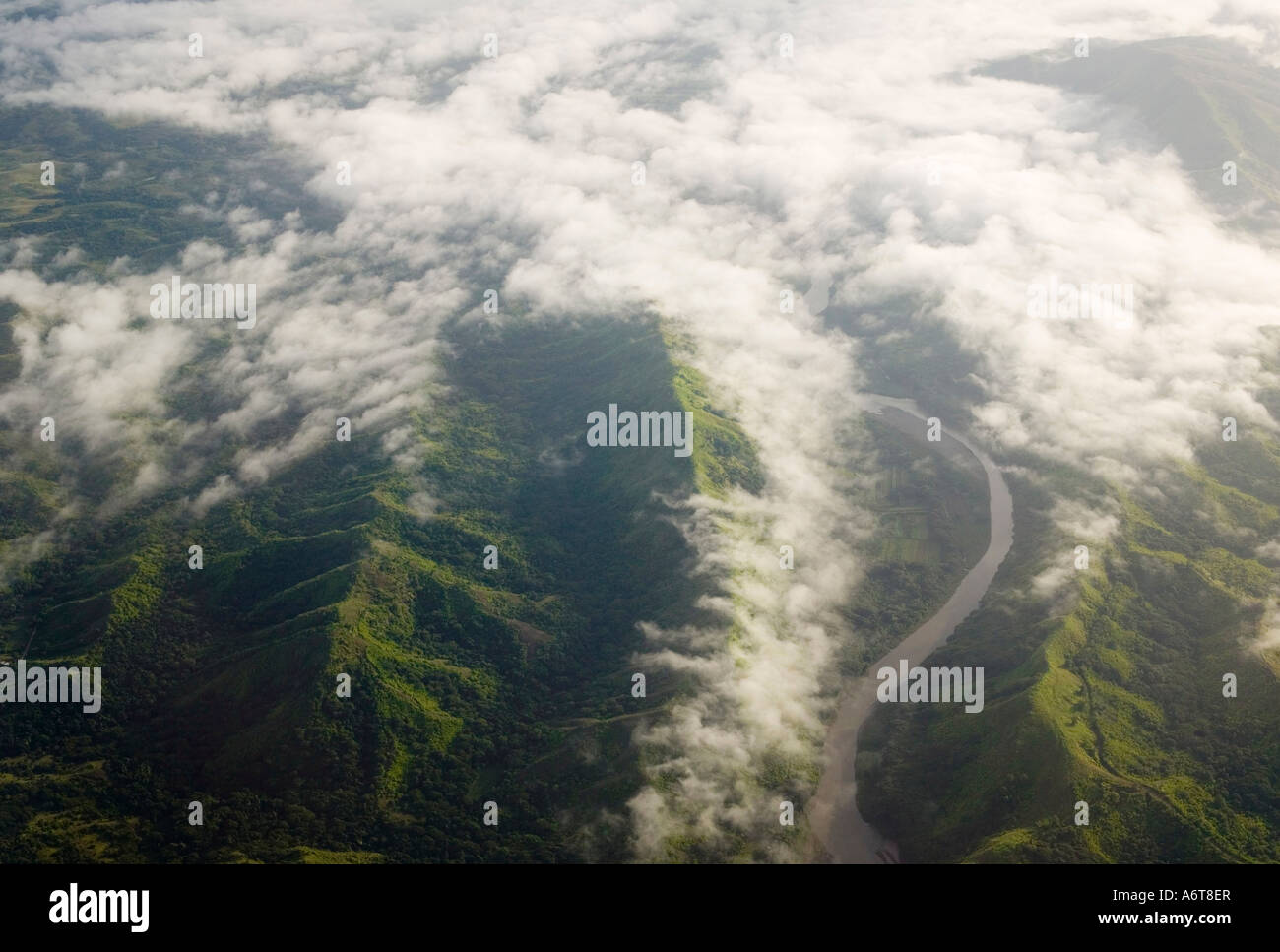 Tropical rainforest from the air on Fiji Stock Photo - Alamy