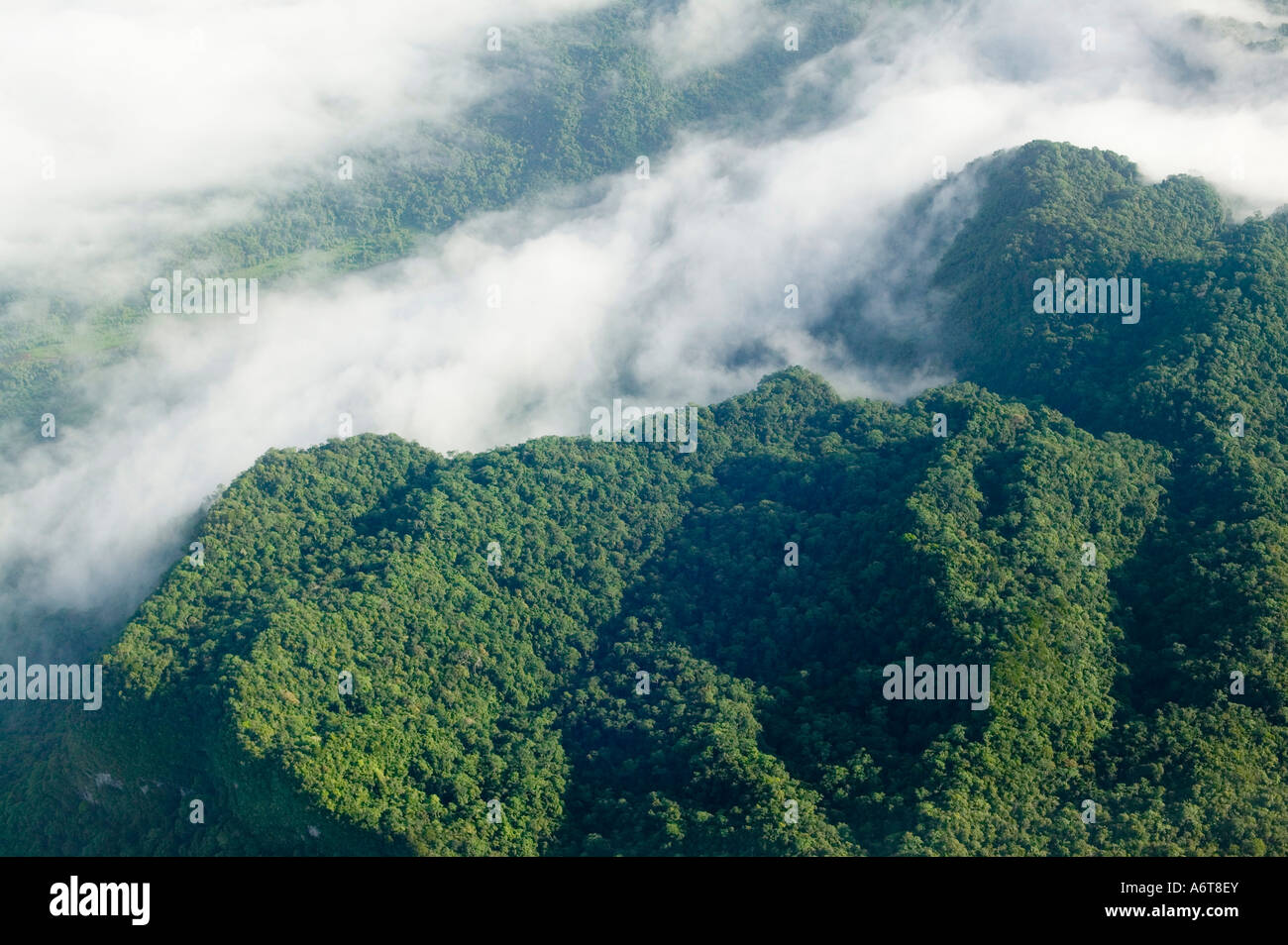 Tropical rainforest from the air on Fiji Stock Photo - Alamy