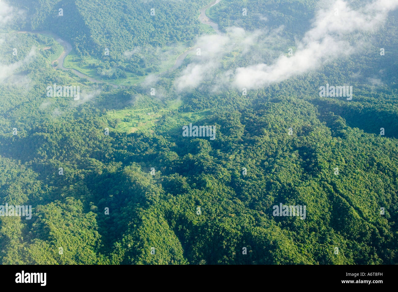 A clearing in the rainforest on Fiji Stock Photo - Alamy