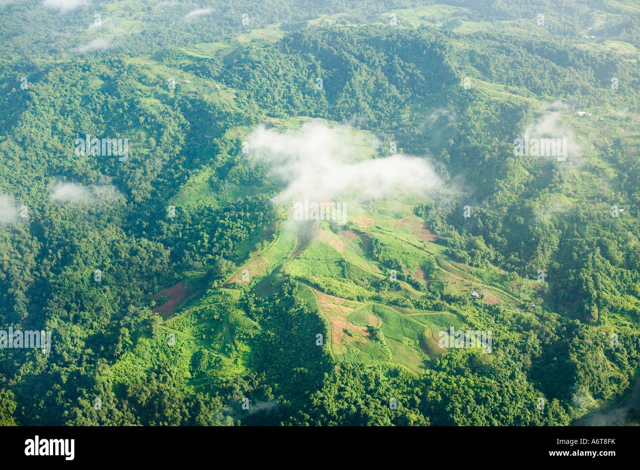 Habitat clearing hi-res stock photography and images - Alamy