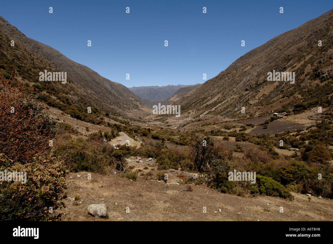 trecking in National Park Merida state The Andes Venezuela South ...