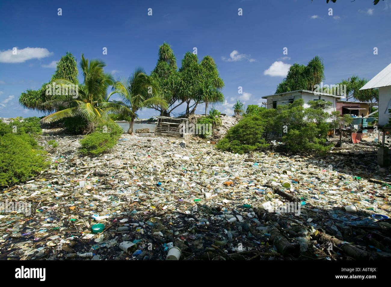 rubbish floating in a lagoon on Funafuti Island, Tuvalu Stock Photo - Alamy