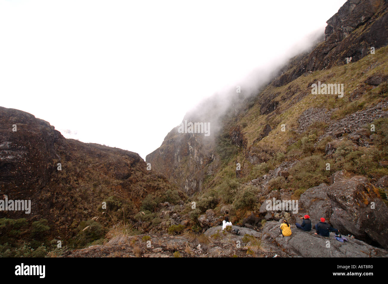National Park Merida state The Andes Venezuela South America Stock ...