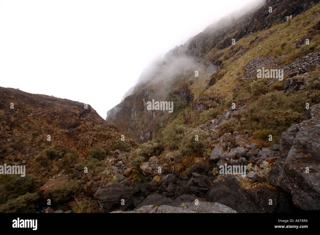 National Park Merida state The Andes Venezuela South America Stock ...