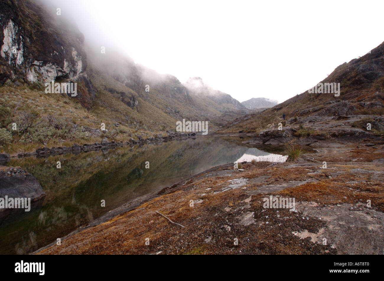 National Park Merida state The Andes Venezuela South America Stock ...